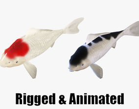 Animated Koi fish 3D Models | CGTrader