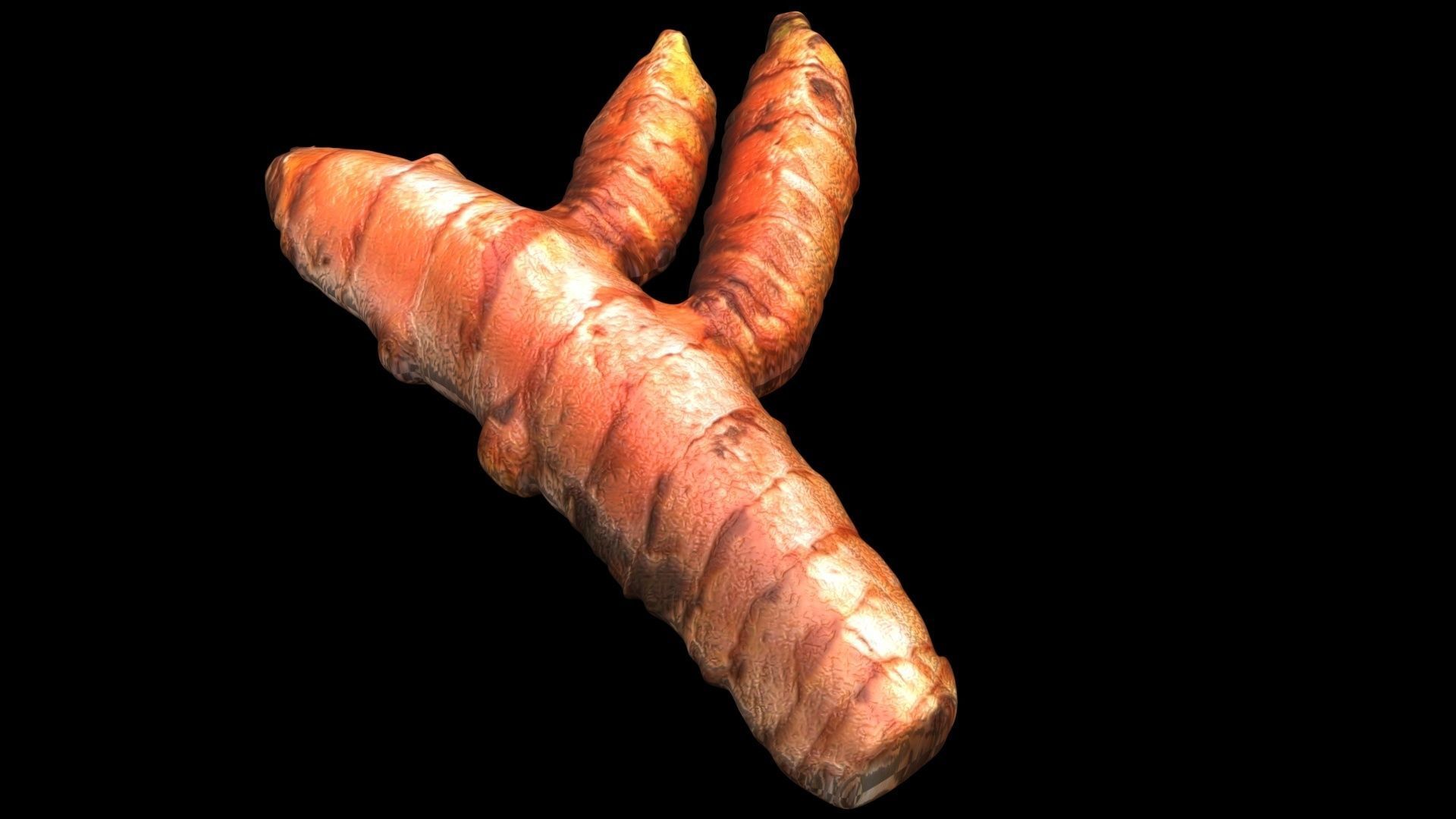 Turmeric 3D model | CGTrader