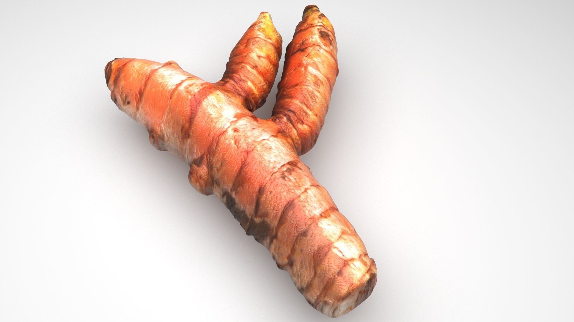 Turmeric 3D model | CGTrader
