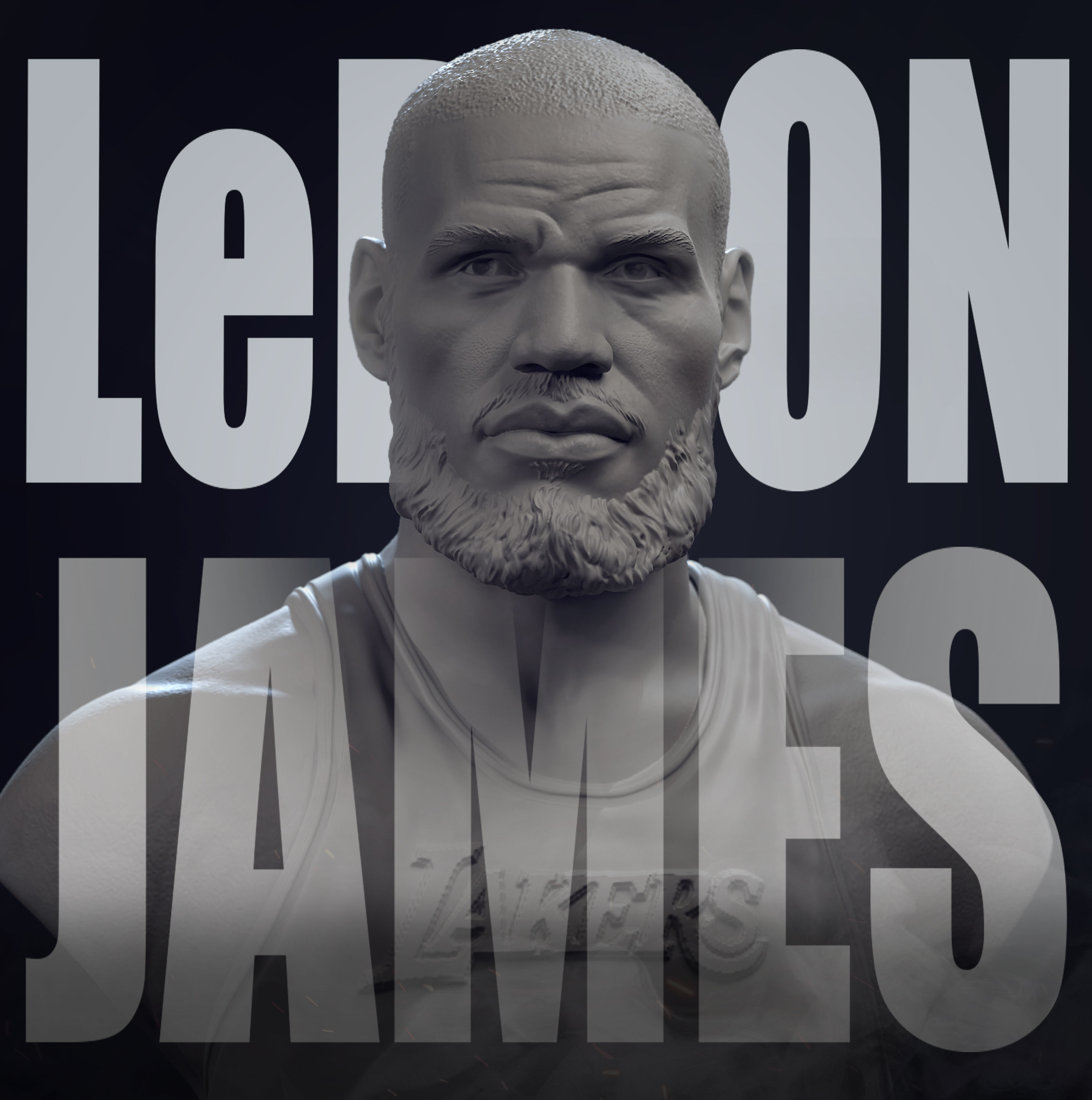 Lebron James 3D model 3D printable | CGTrader