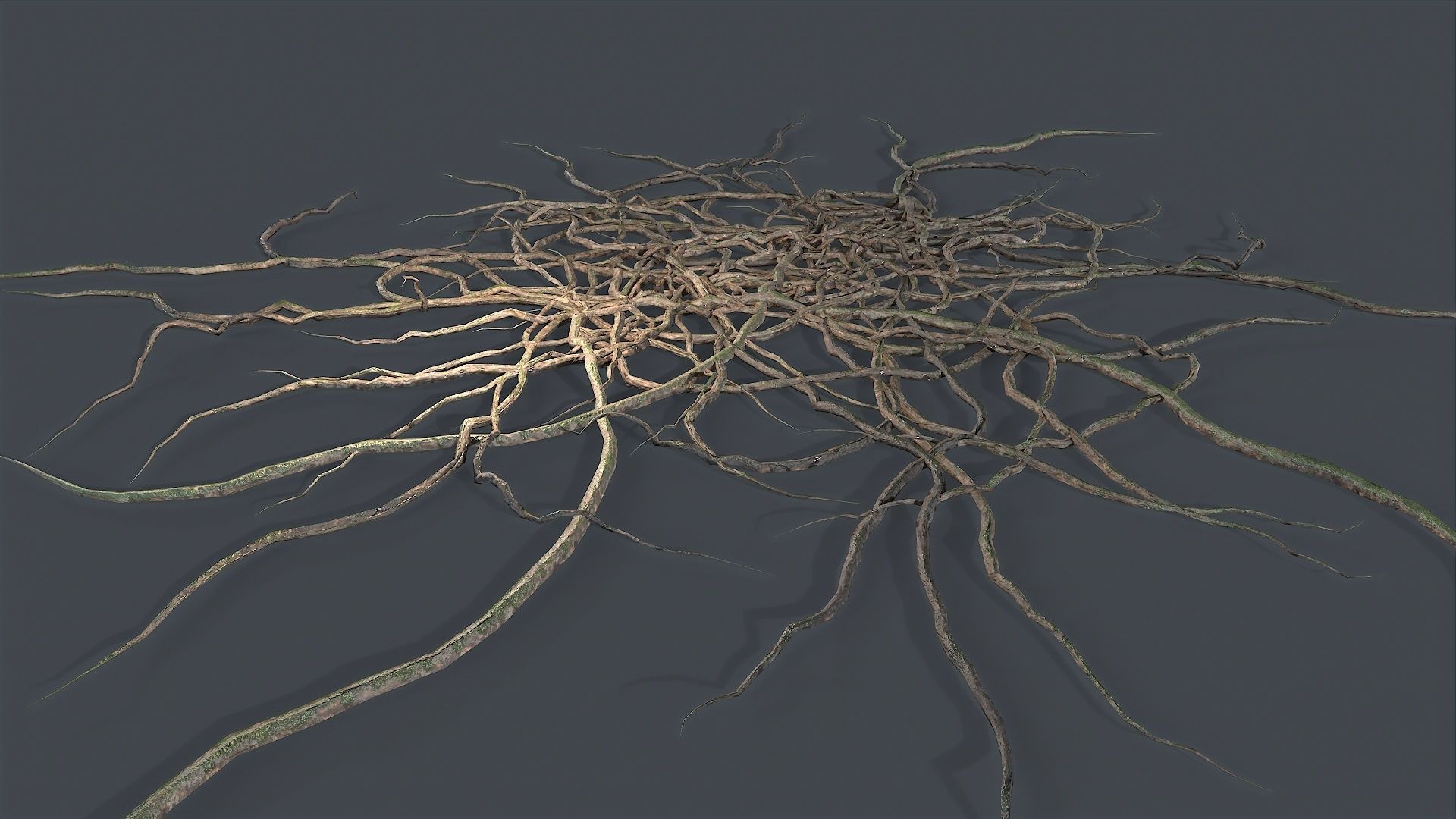 3D model Wood Roots VR / AR / low-poly | CGTrader