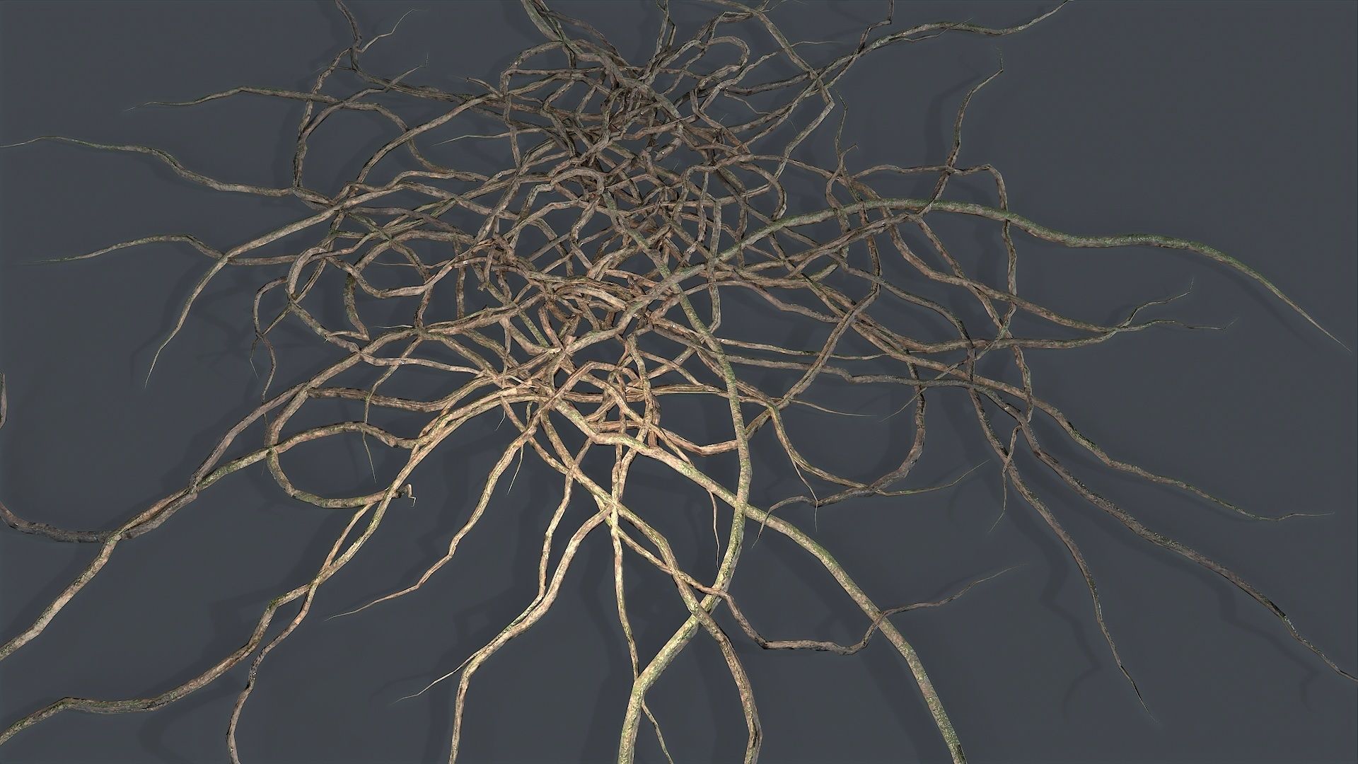 3D model Wood Roots VR / AR / low-poly | CGTrader