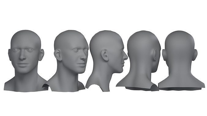 Male Head 3D model | CGTrader