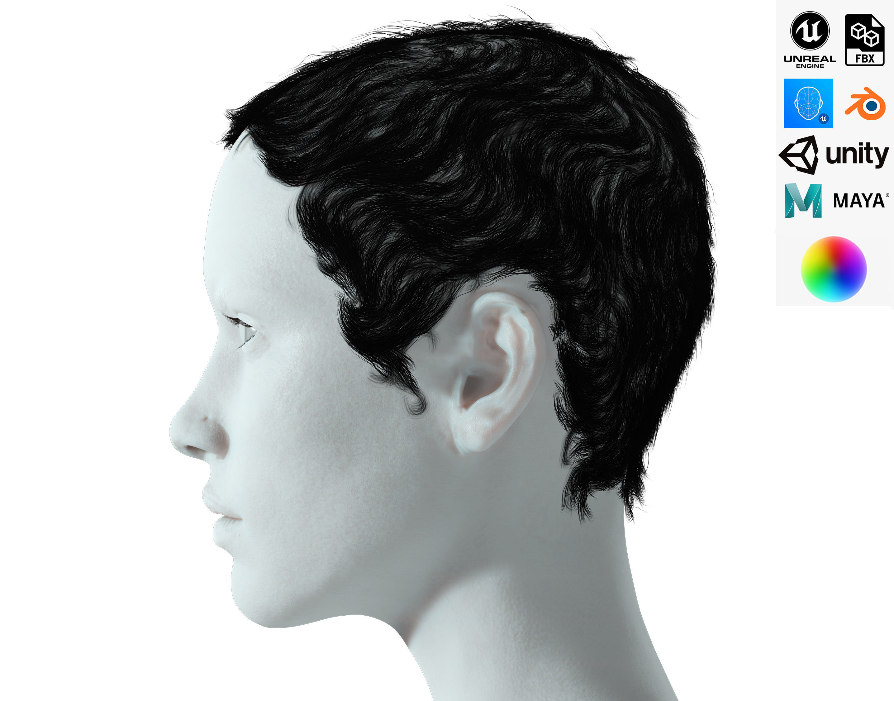 3D model Realistic Female hair afro VR / AR / low-poly | CGTrader