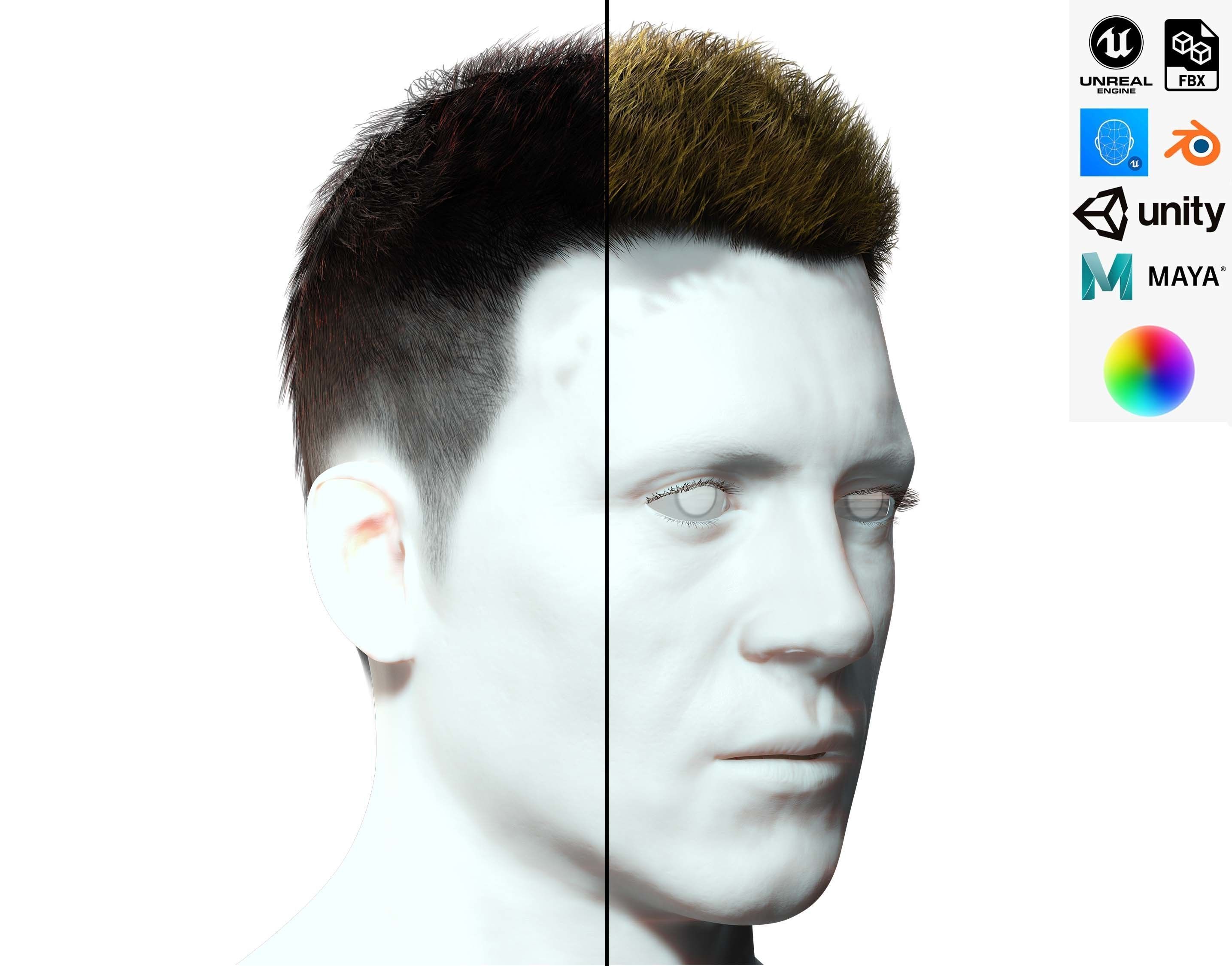 3D model Realistic Hair hawk VR / AR / low-poly | CGTrader