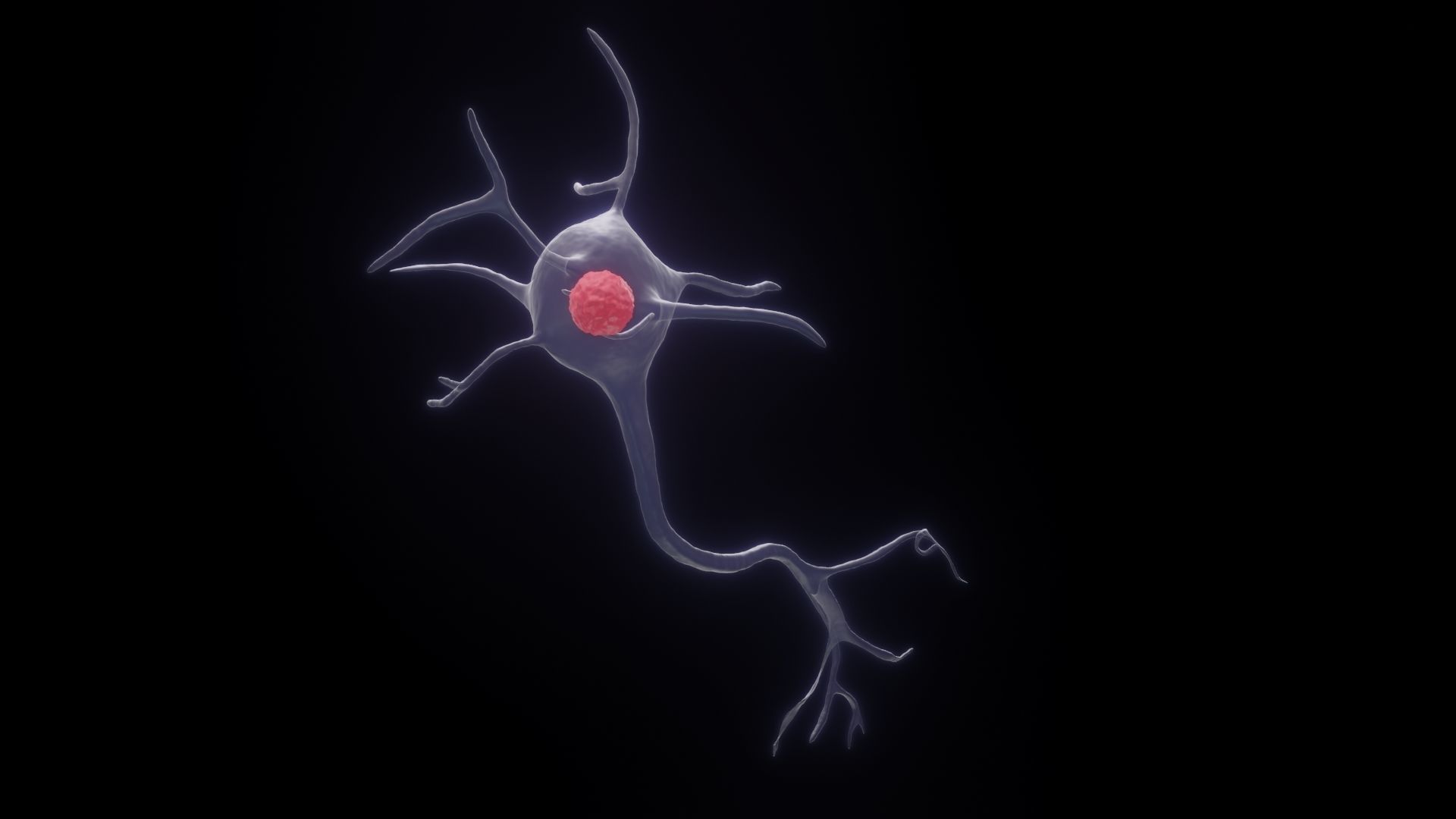 Multipolar Neuron 3D model | CGTrader