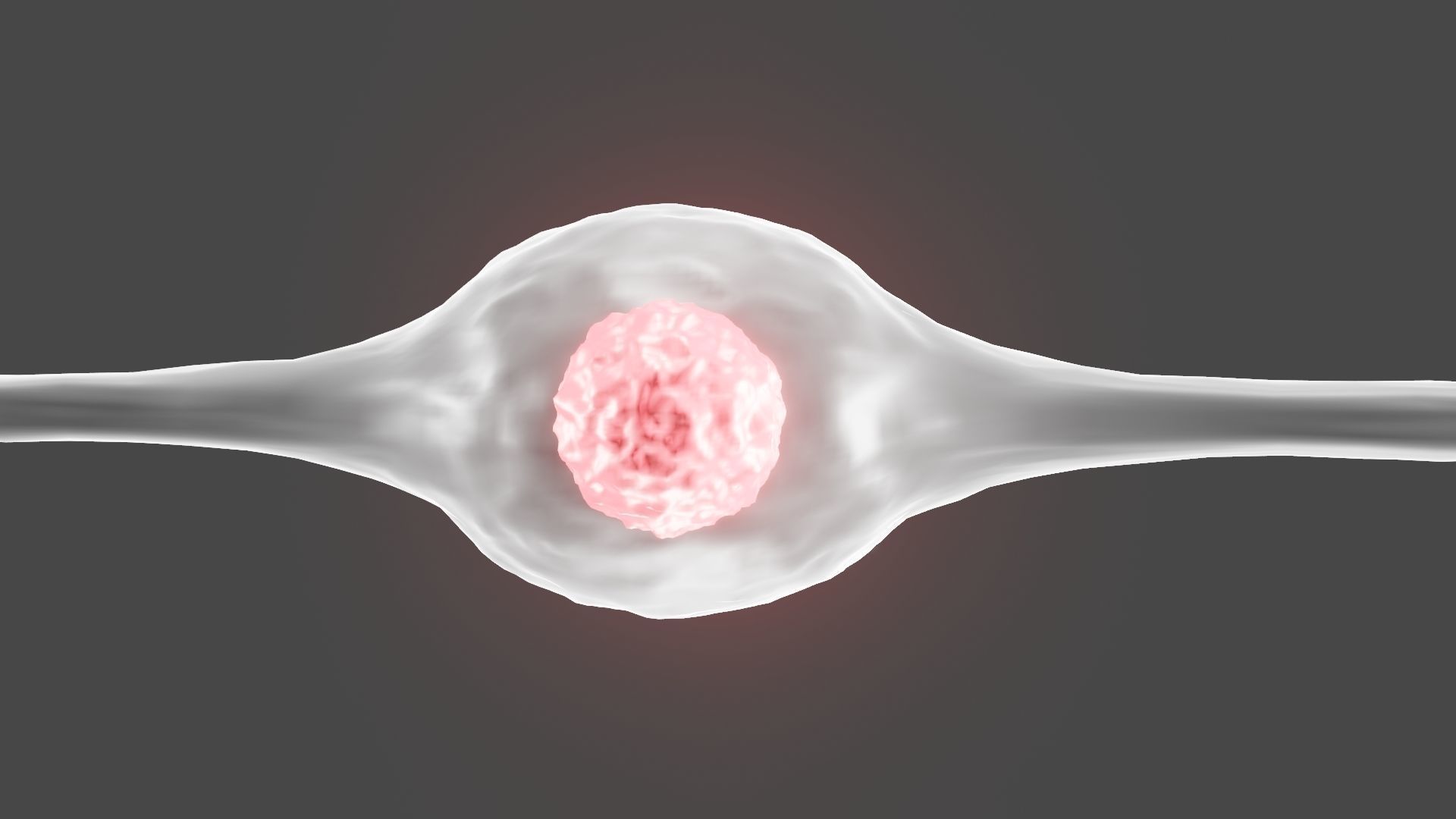 Bipolar Neuron 3D model | CGTrader