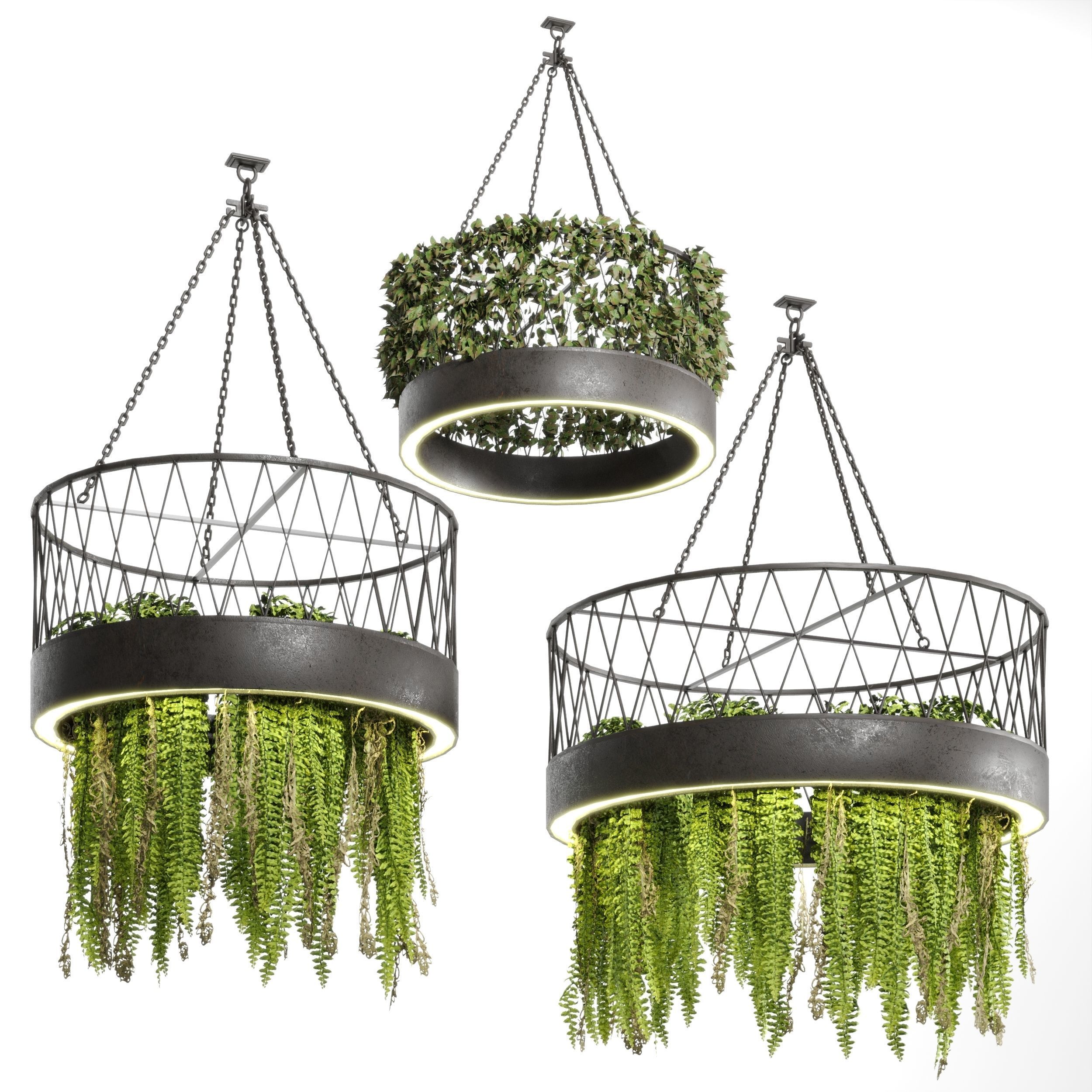 hanging plant 05 3D model | CGTrader