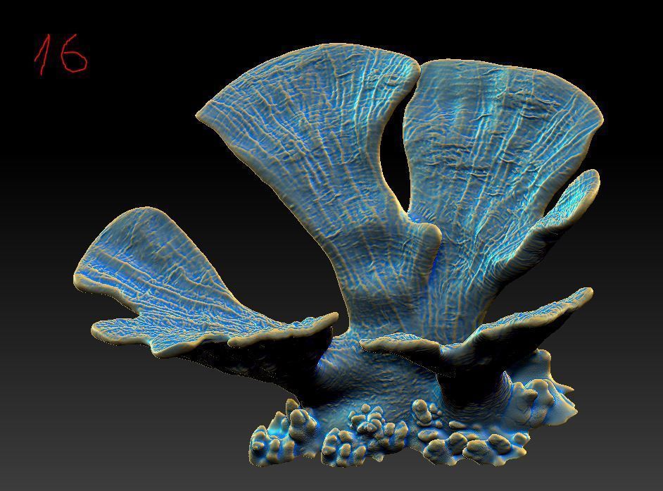 Corals coral 3D model 3D printable | CGTrader