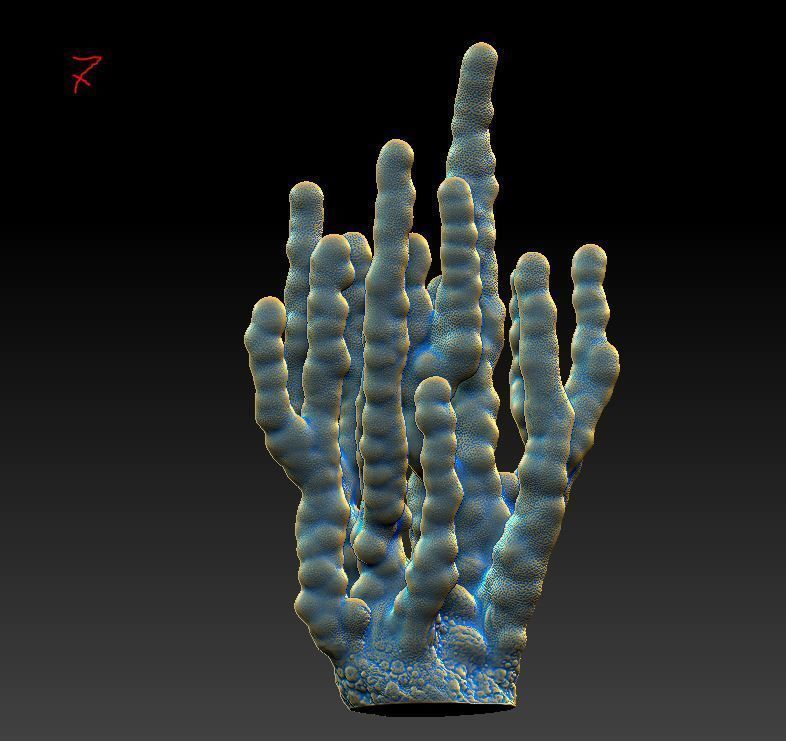 Corals coral 3D model 3D printable | CGTrader