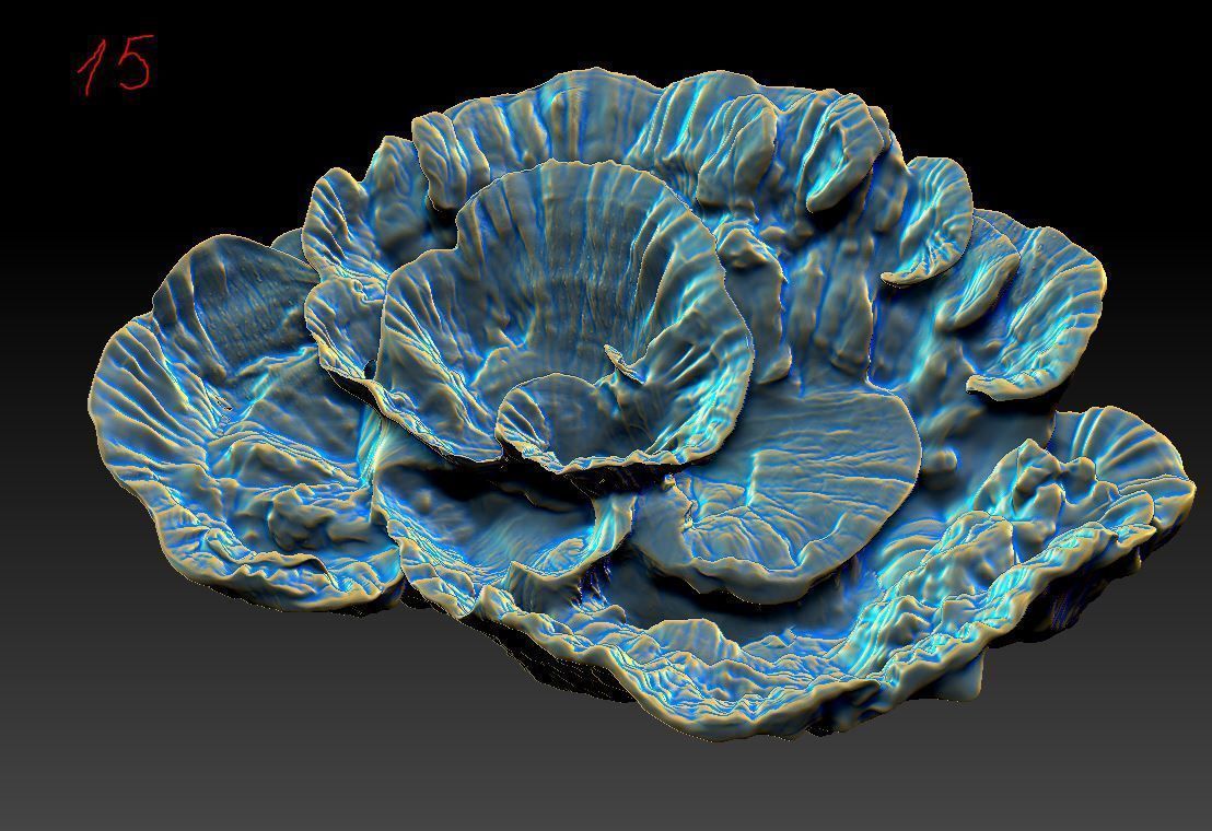 Corals coral 3D model 3D printable | CGTrader