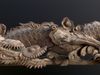 3D model Carved Japanese Dragon Sculpture VR / AR / low-poly | CGTrader