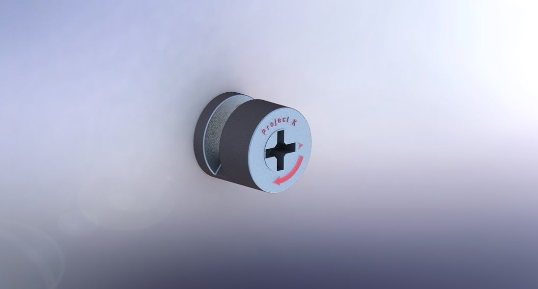 Minifix cam 3D model | CGTrader