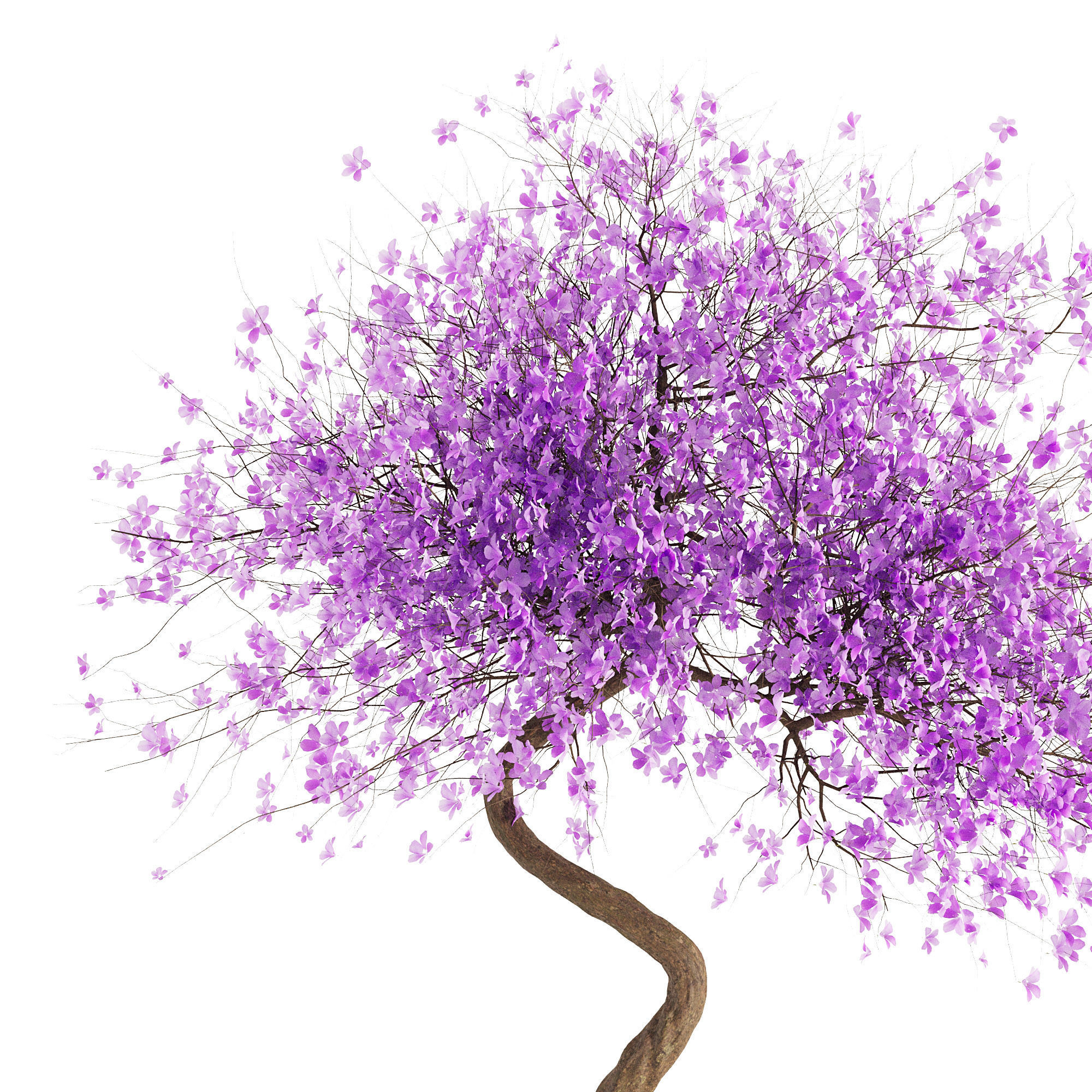 Bonsai purple flower 3D model | CGTrader