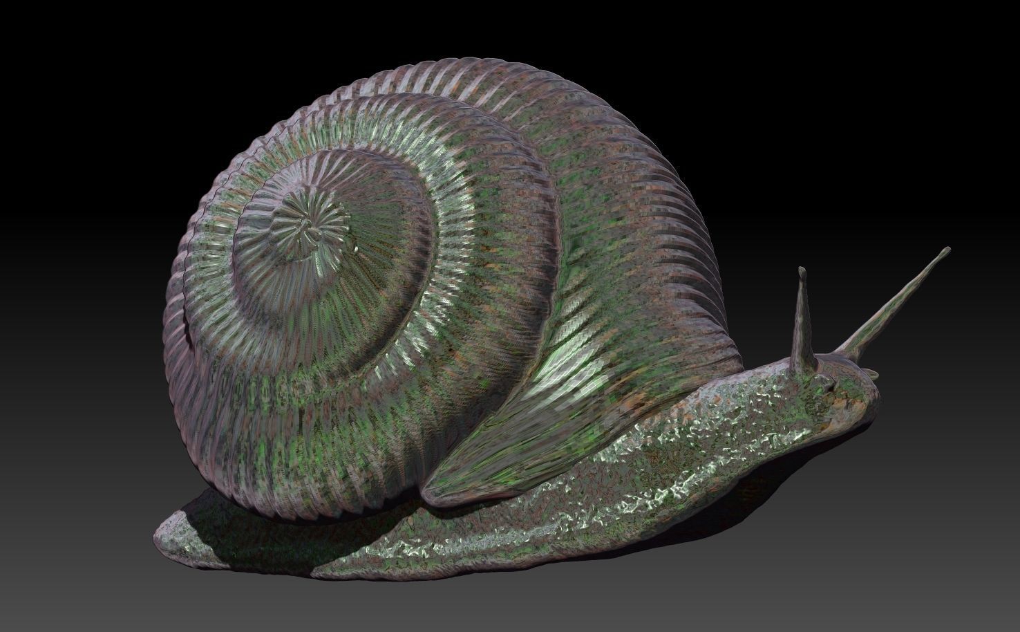 The snail 3D model 3D printable | CGTrader