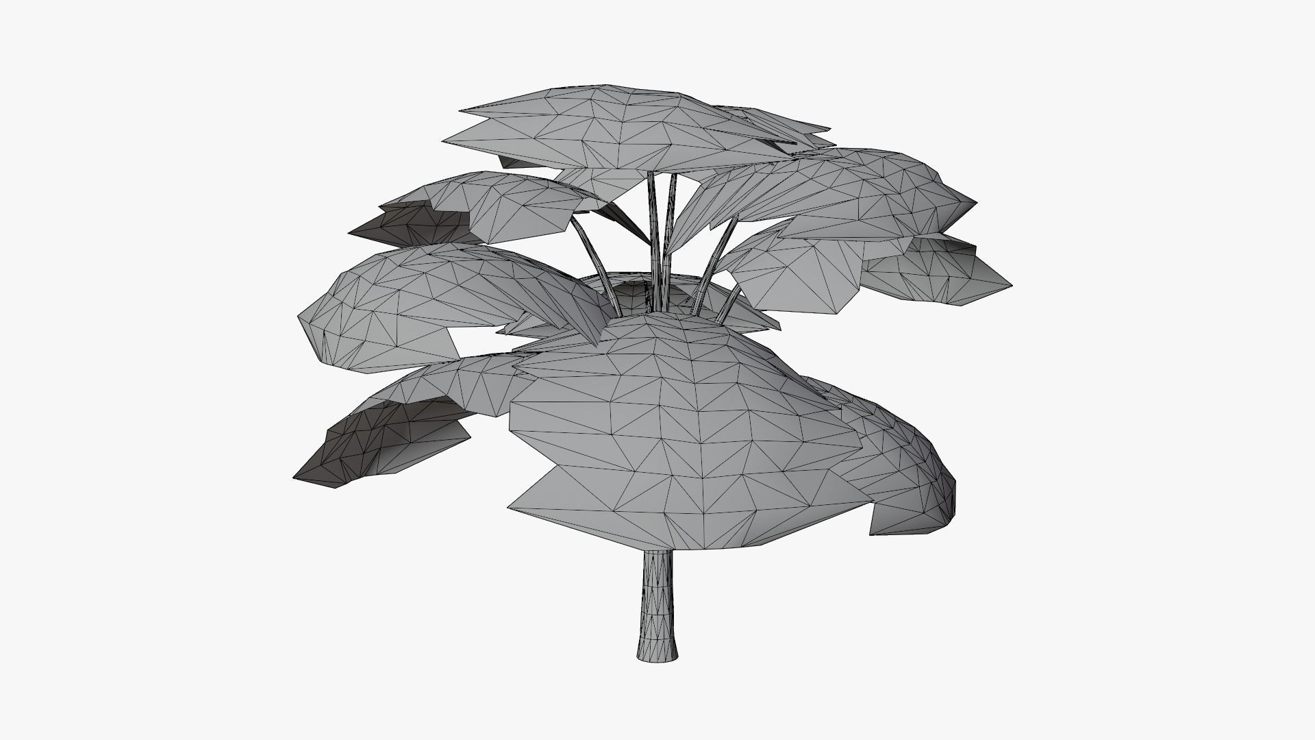3D model Monstera Tropical Plant VR / AR / low-poly | CGTrader