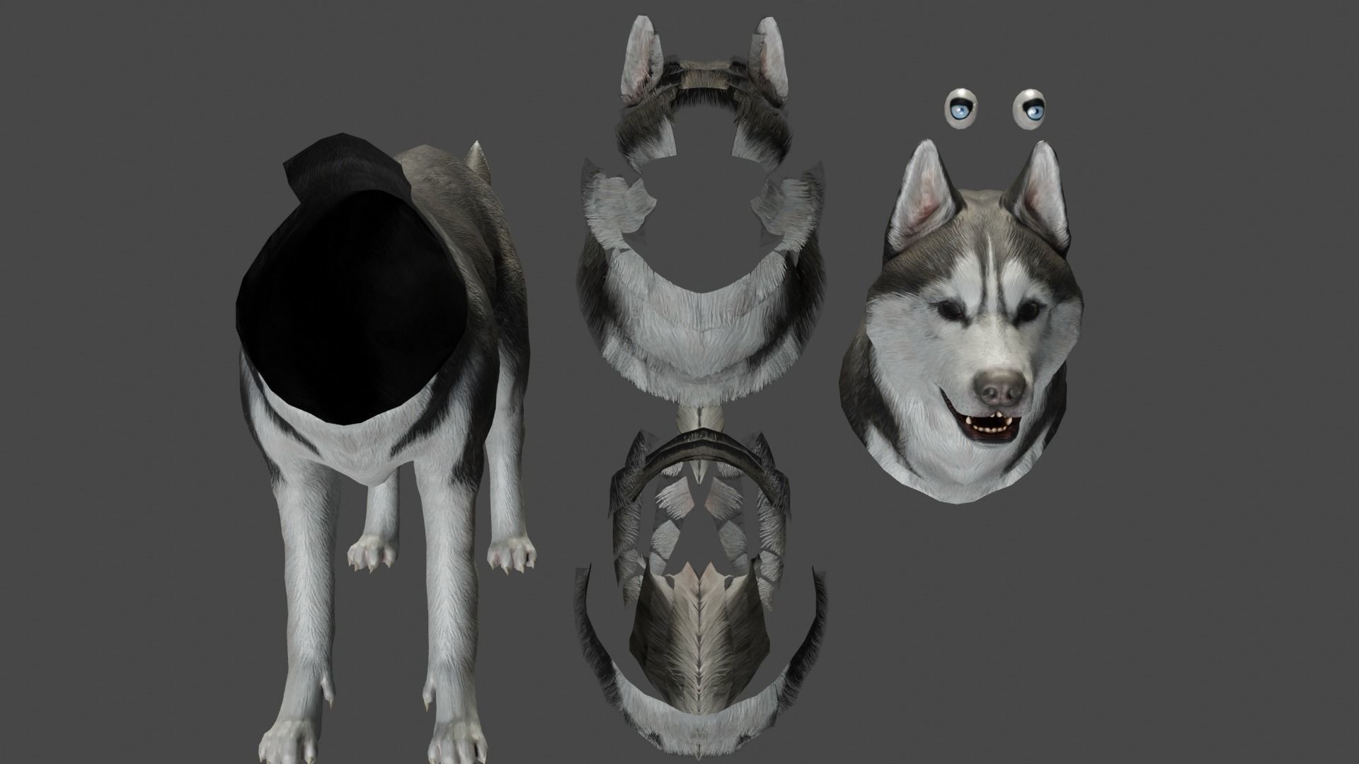 3D model DOG - SIBERIAN HUSKY VR / AR / low-poly | CGTrader