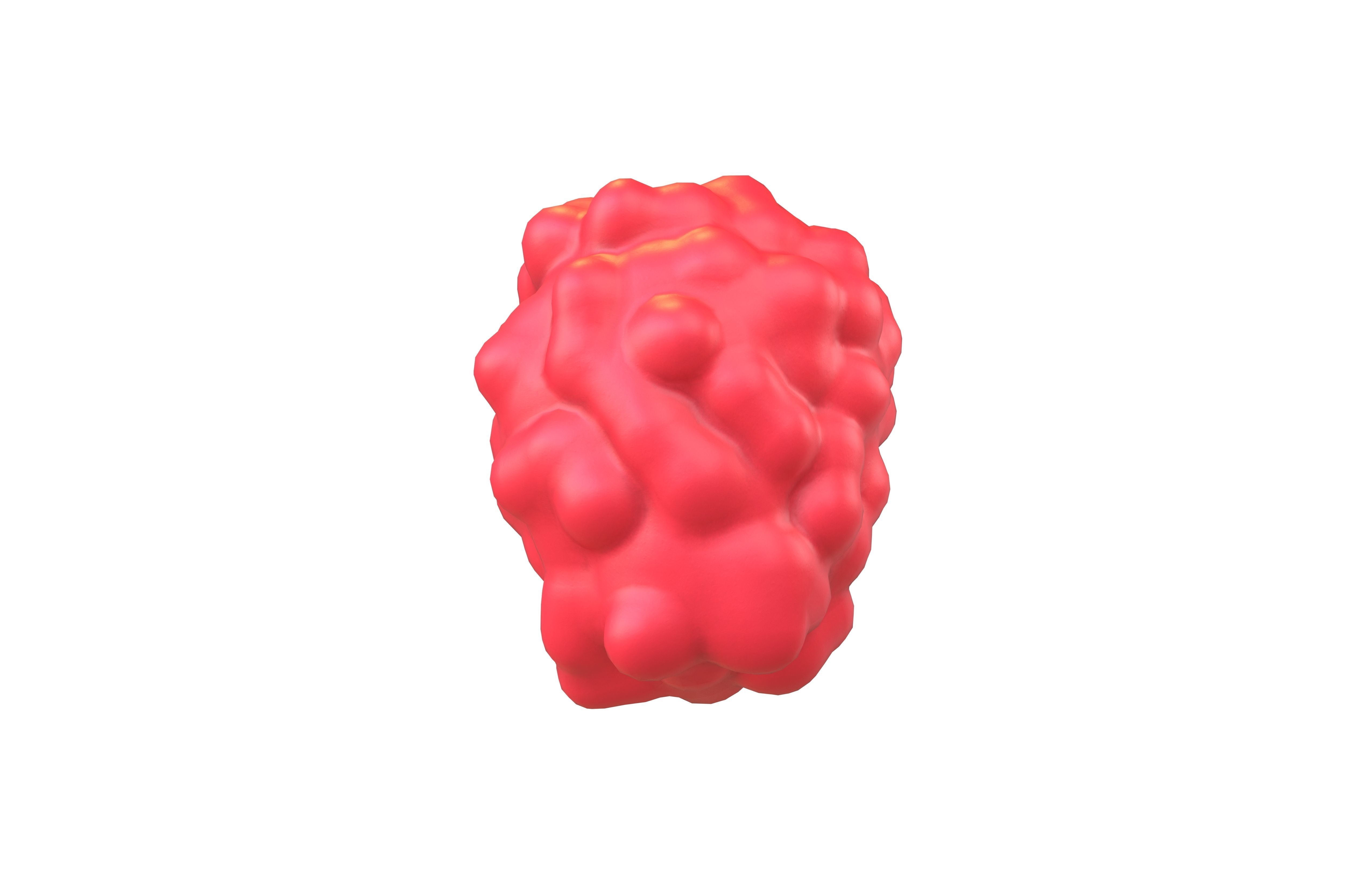 Raspberry V1 001 free VR / AR / low-poly 3D model | CGTrader