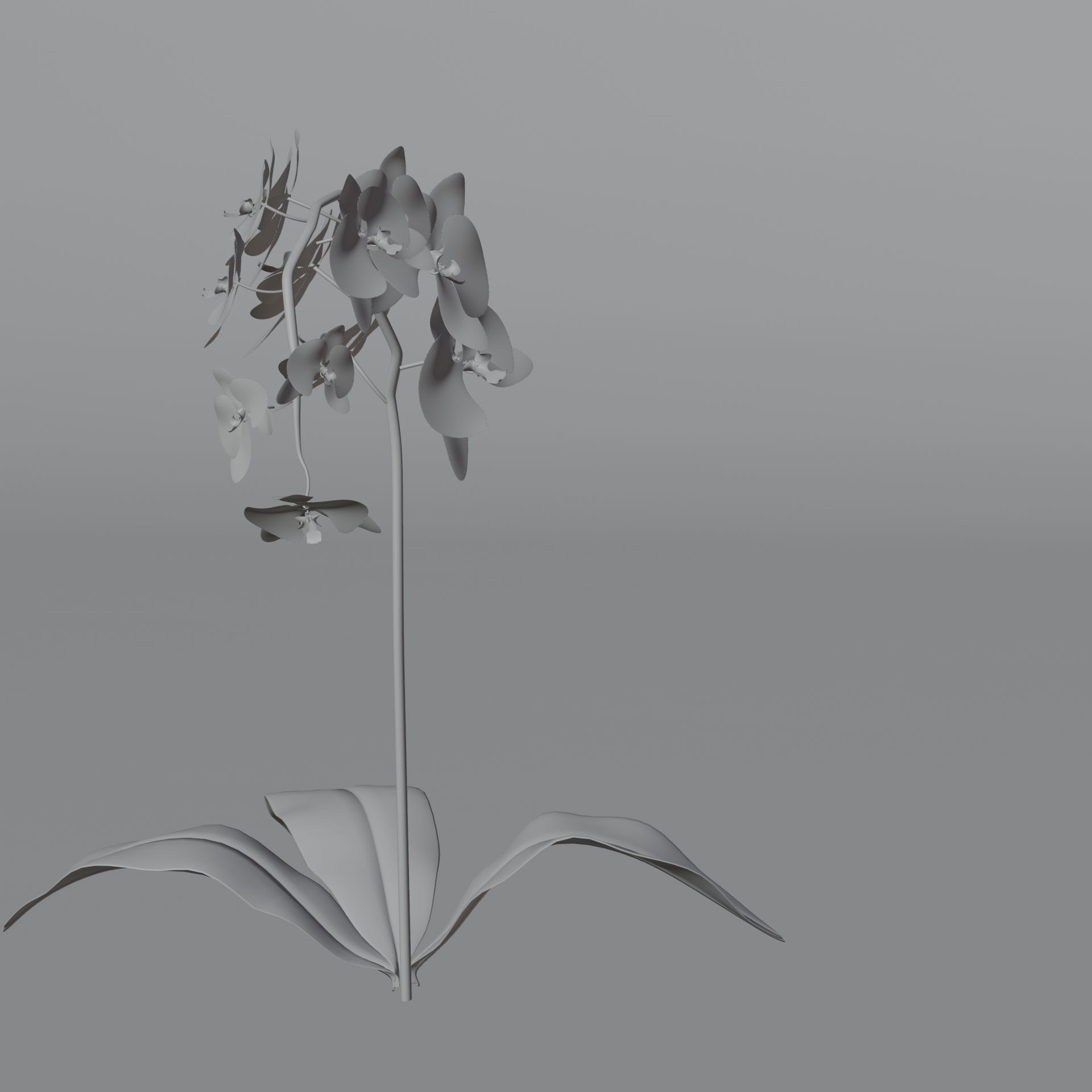 Orchid 3d flower 3D model | CGTrader