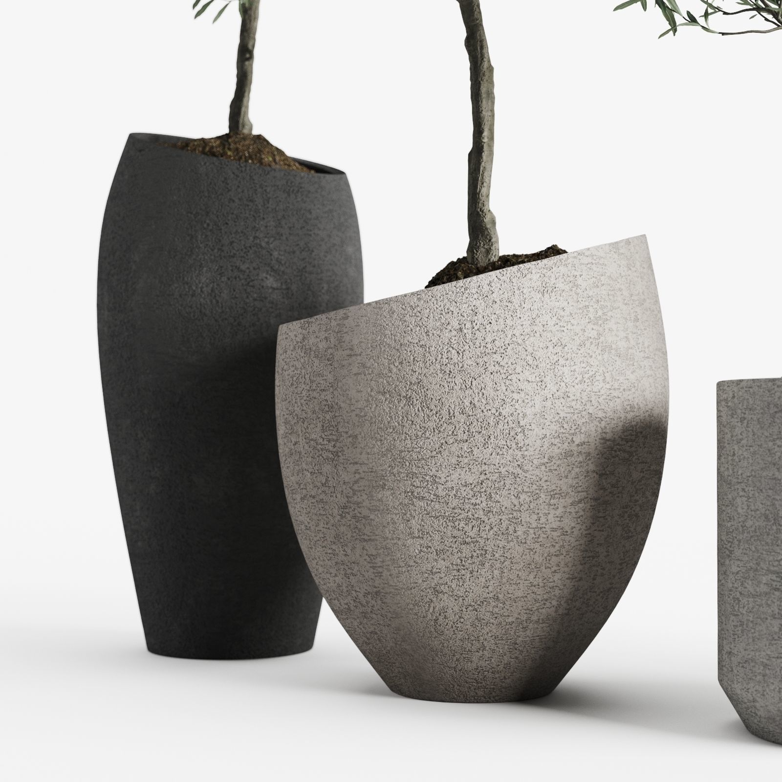 Olive European Potted Eco Stone Hitohana 3D model | CGTrader