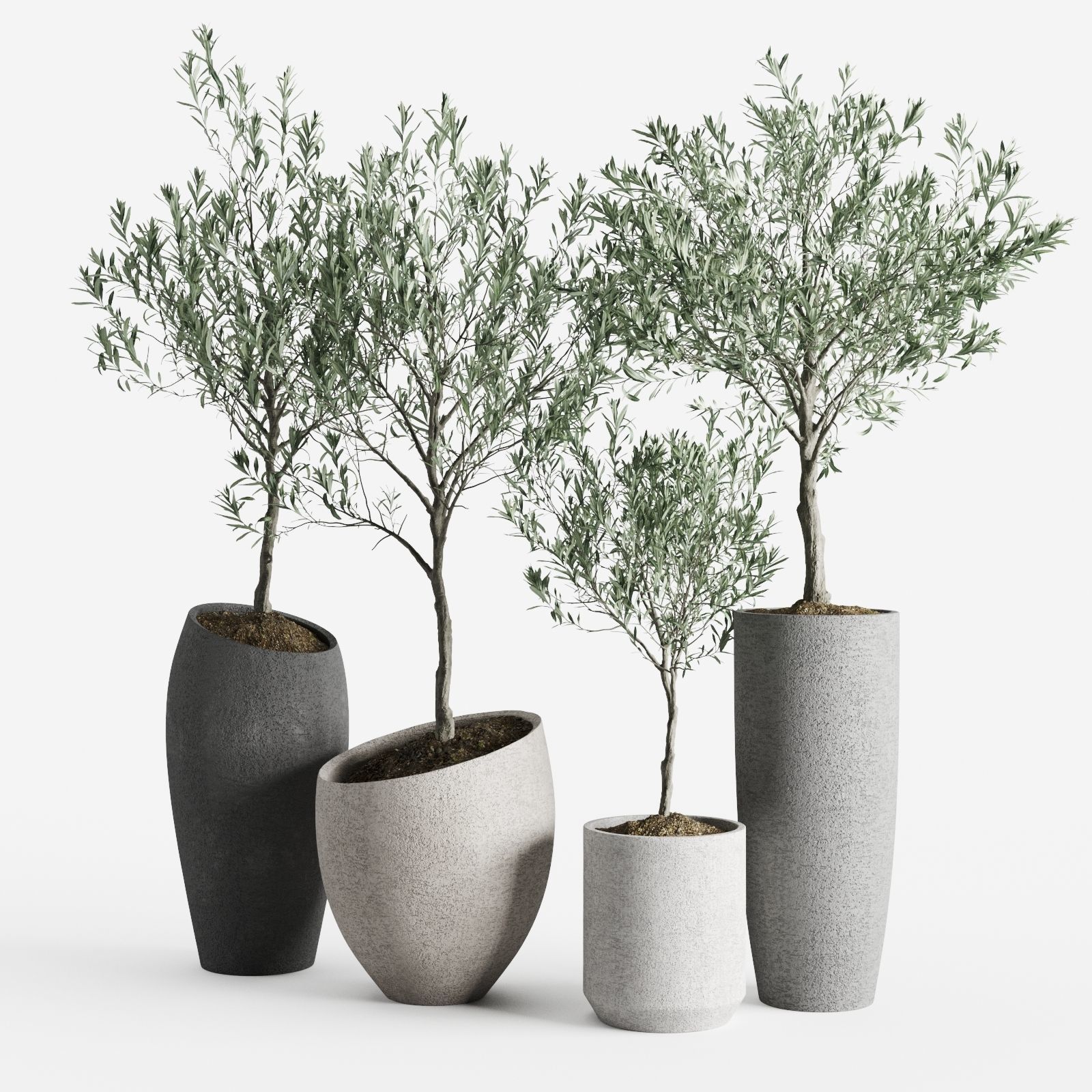 Olive European Potted Eco Stone Hitohana 3D model | CGTrader