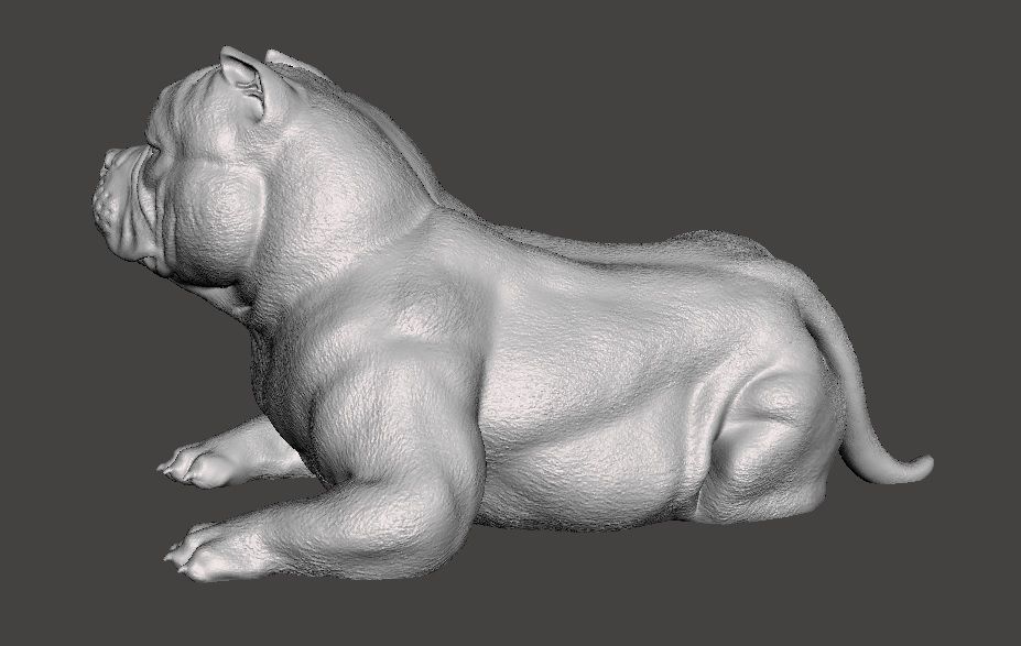 american bully perro 3D model 3D printable | CGTrader