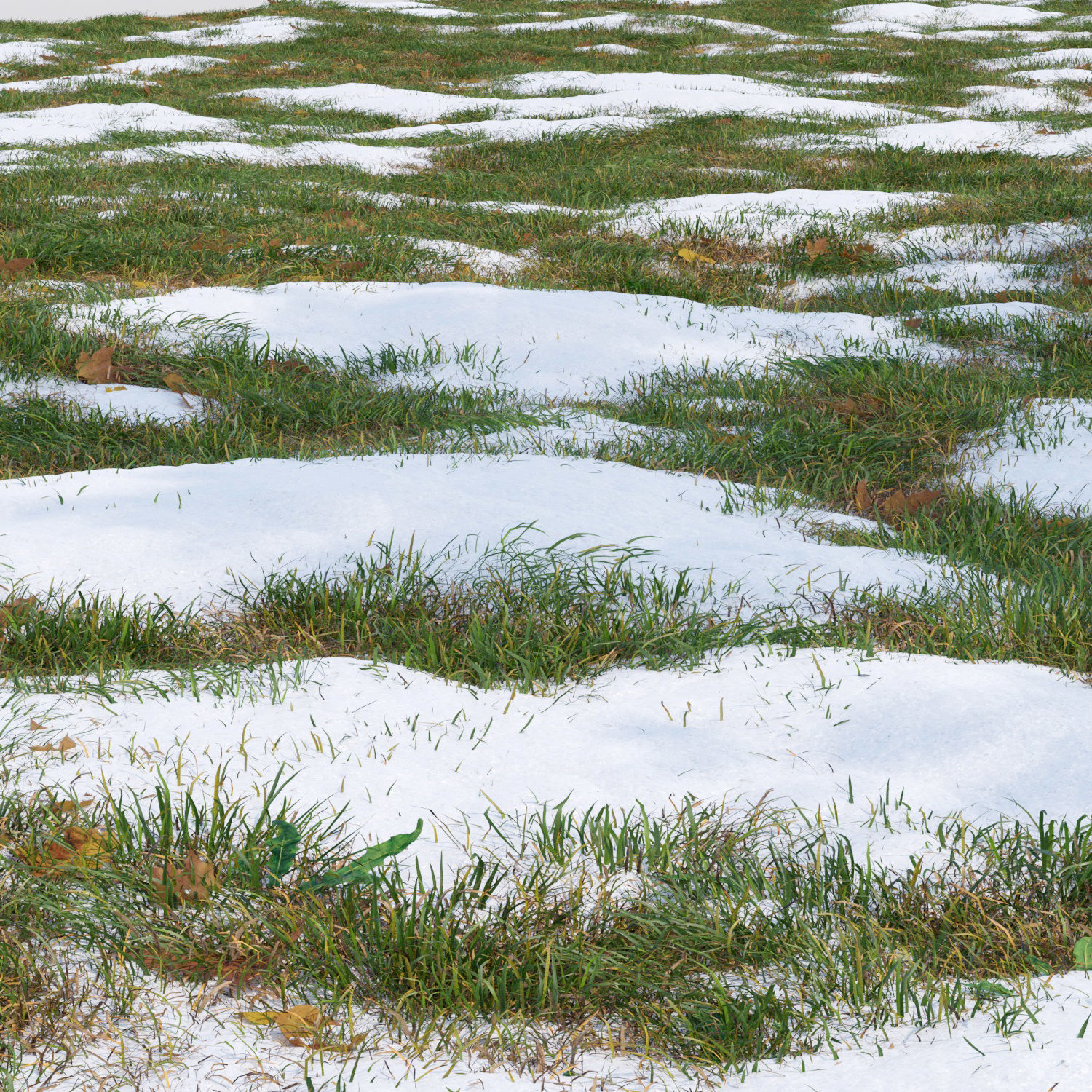 grass with snow 3D model | CGTrader