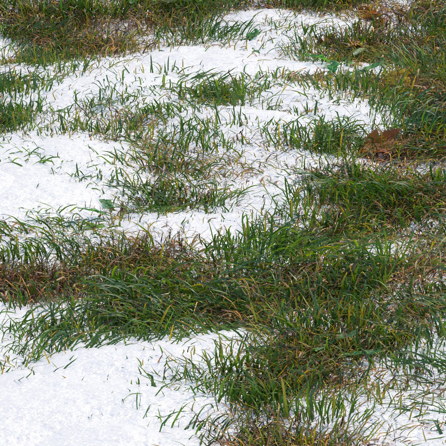 grass with snow 3D model | CGTrader