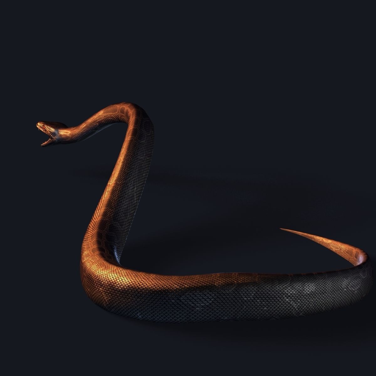 Skined LowPoly Realistic Black Python Snake 3D model rigged | CGTrader