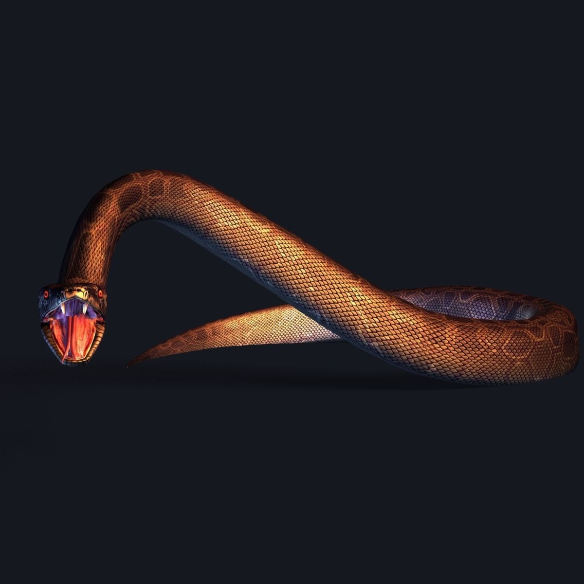 Skined LowPoly Realistic Black Python Snake 3D model rigged | CGTrader