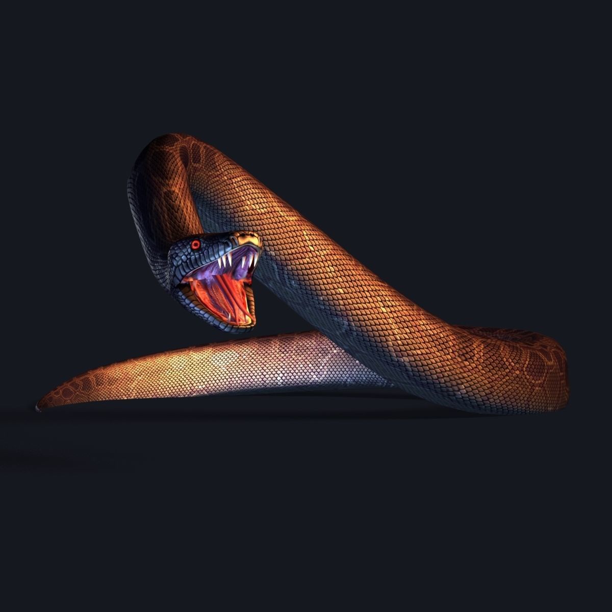 Skined LowPoly Realistic Black Python Snake 3D model rigged | CGTrader
