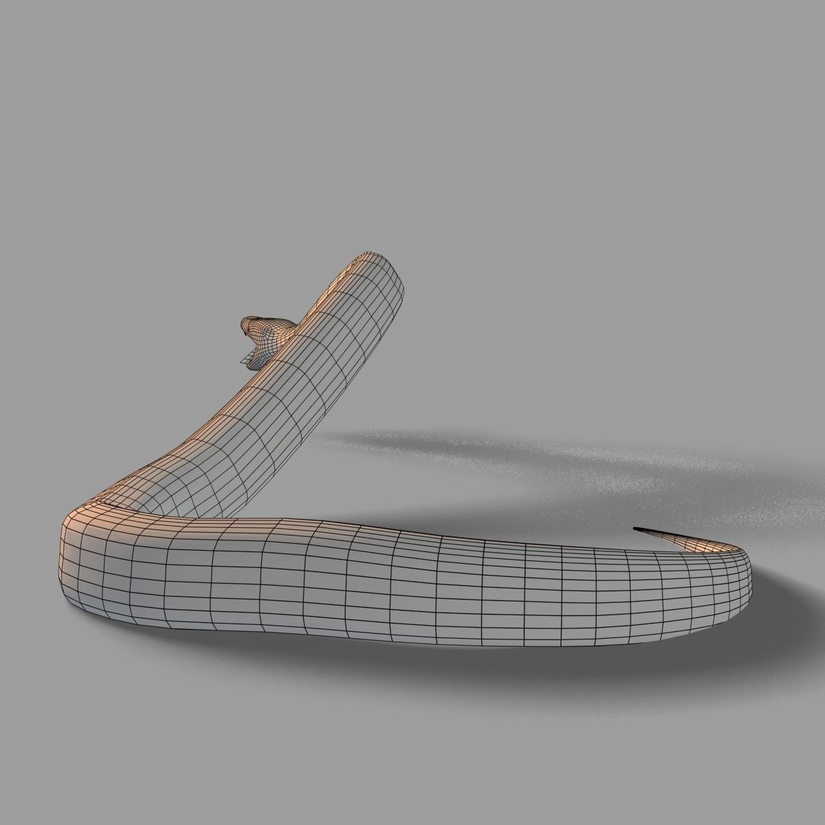 Skined LowPoly Realistic Black Python Snake 3D model rigged | CGTrader