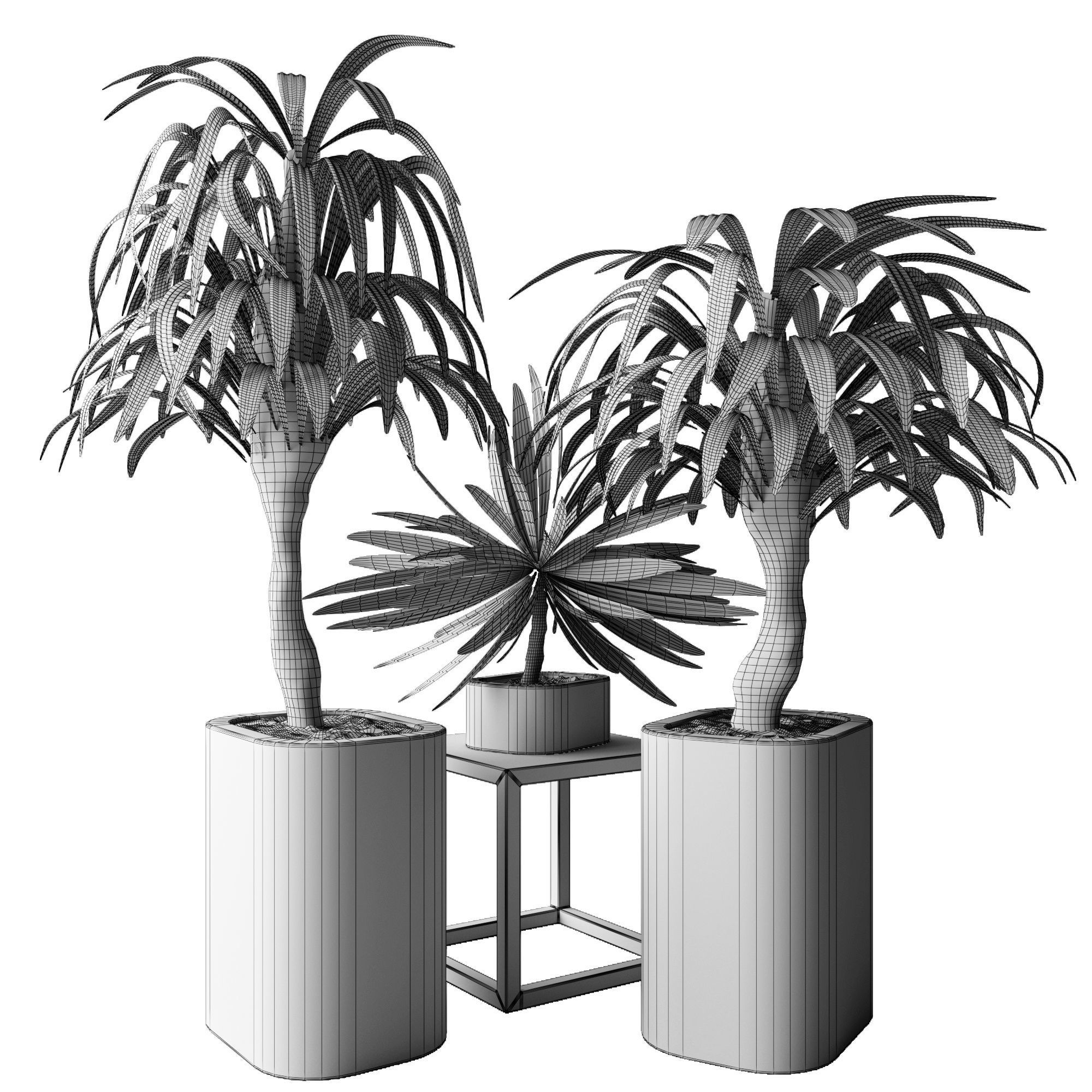 indoor plant 004 3D model | CGTrader