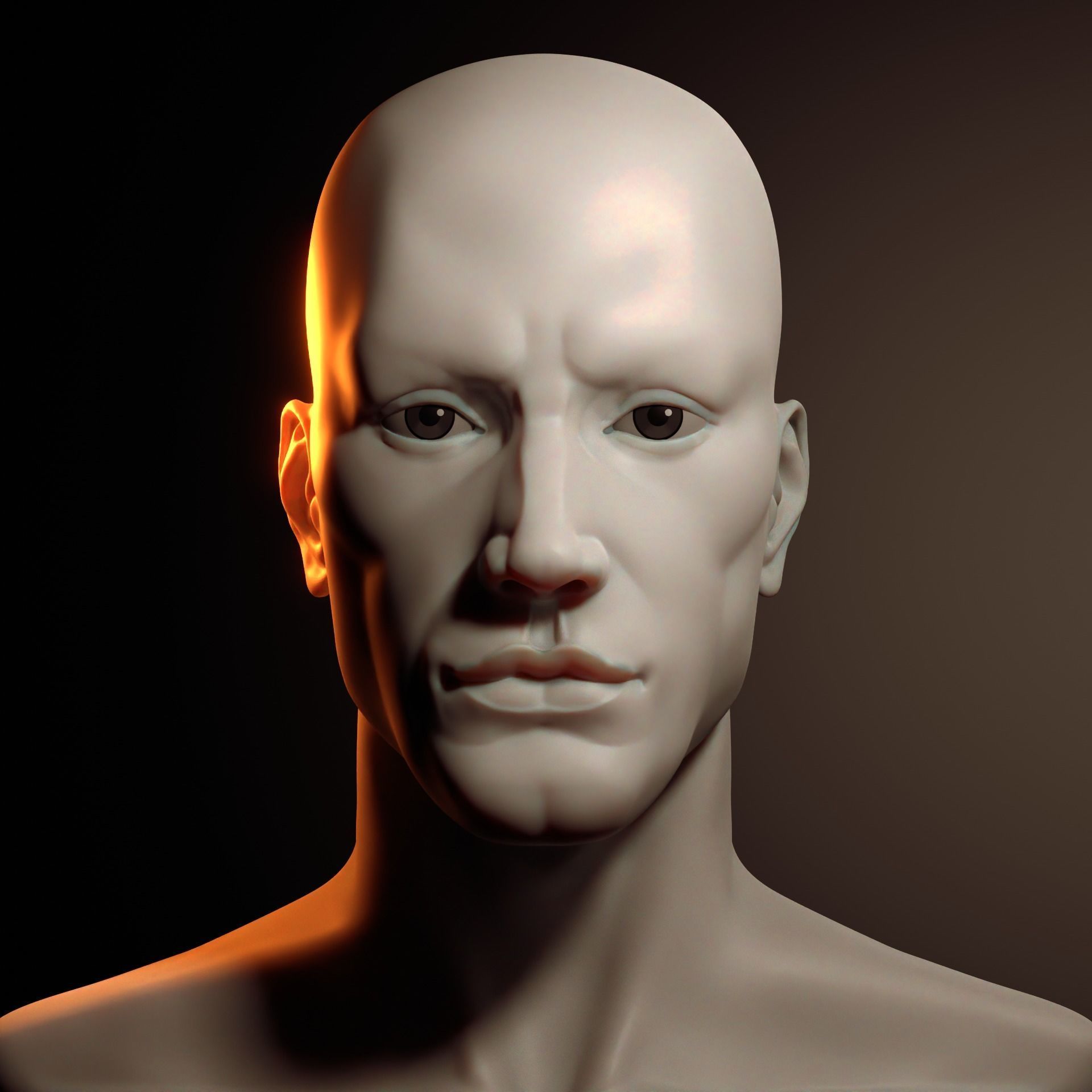 Head anatomy 3D model rigged | CGTrader