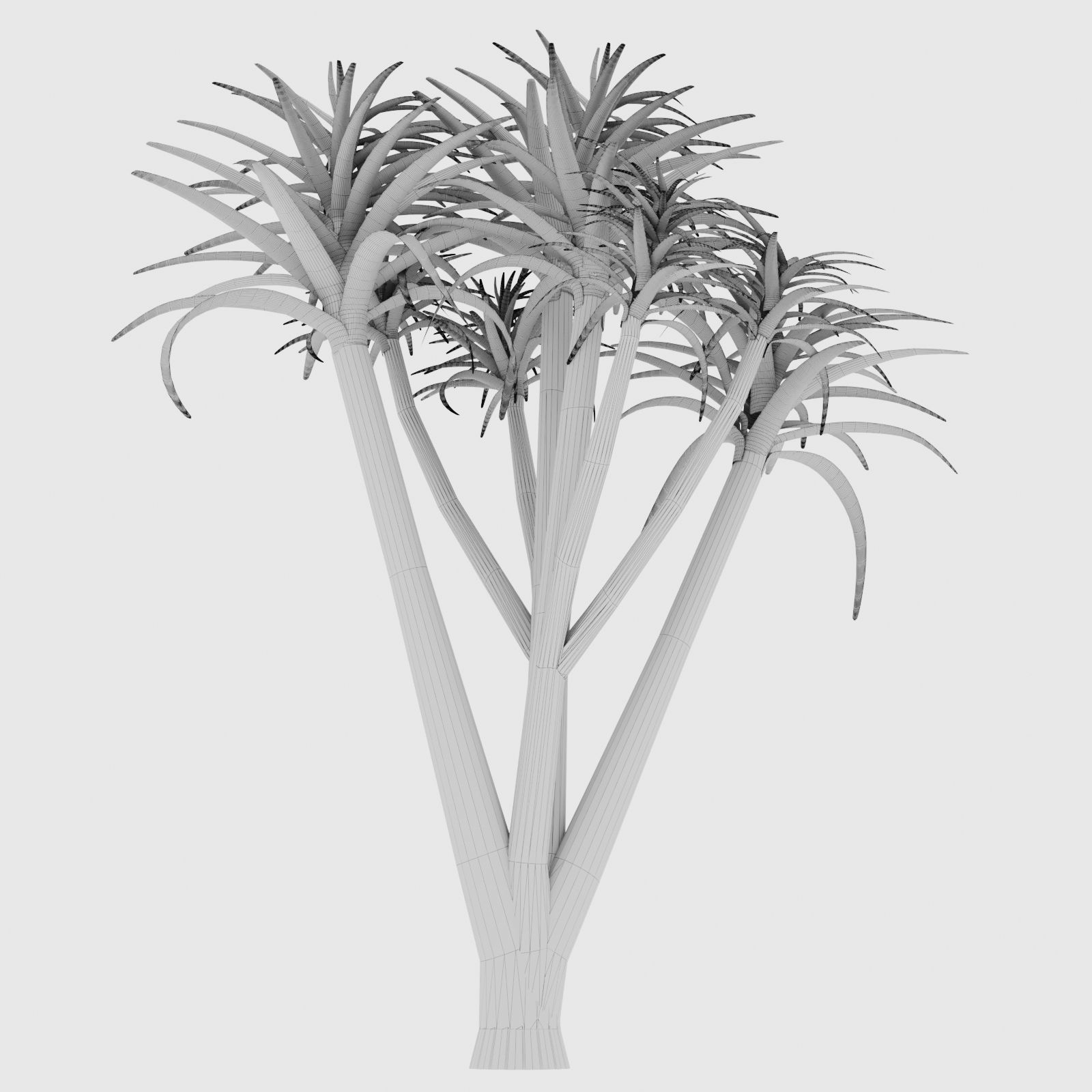 Aloe Tree 3D model | CGTrader