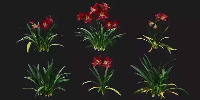 Flowers group of 3D model | CGTrader