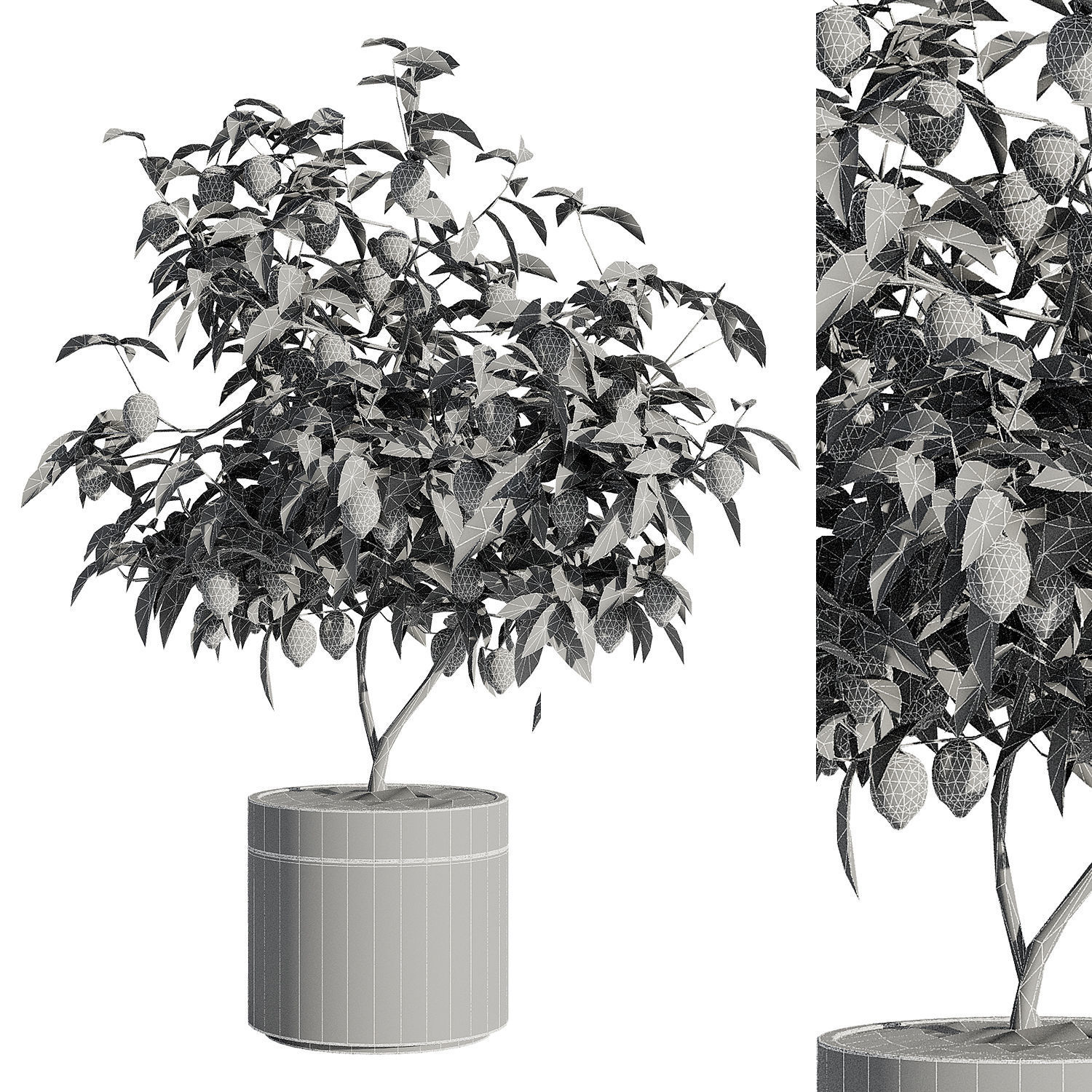 3D model Tree Lemon VR / AR / low-poly | CGTrader