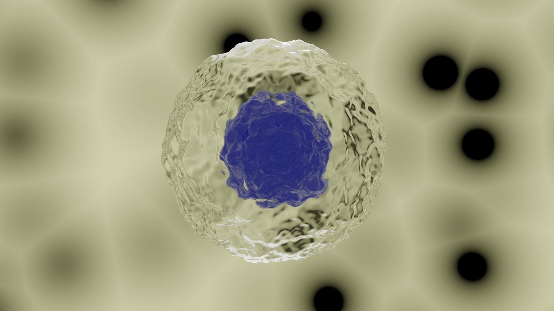 Cell with a big nucleus 3D model | CGTrader