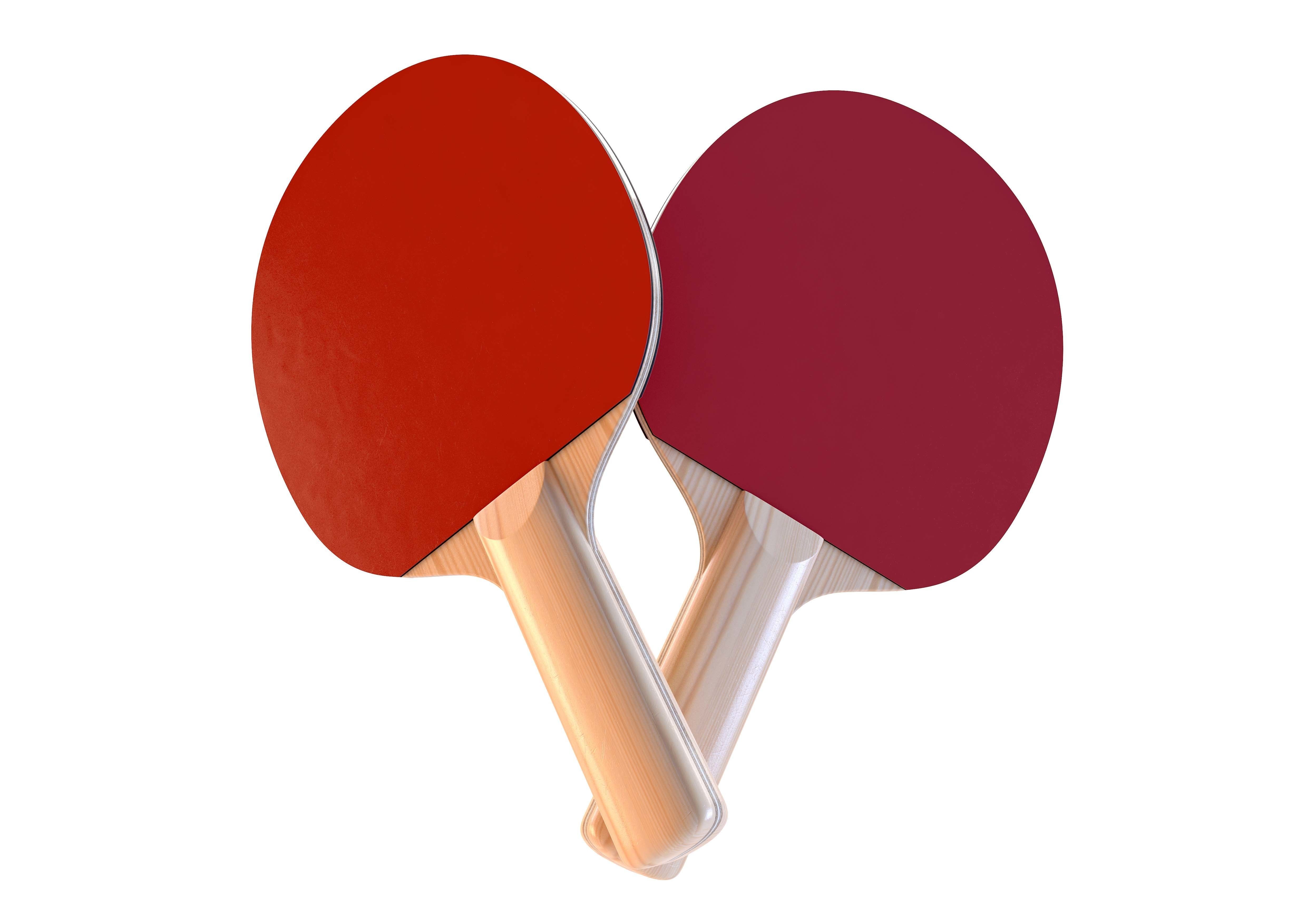 Table Tennis Paddles 3D model | CGTrader