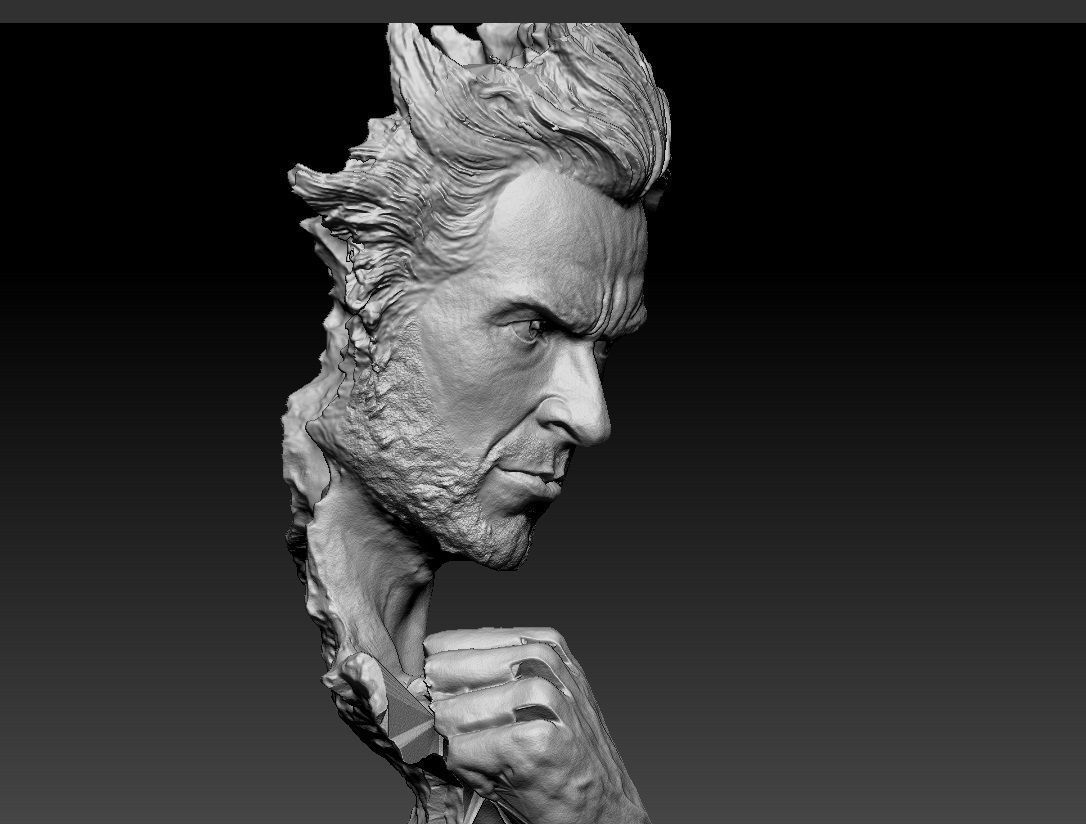 Wolverine Logan bust 3D model | CGTrader