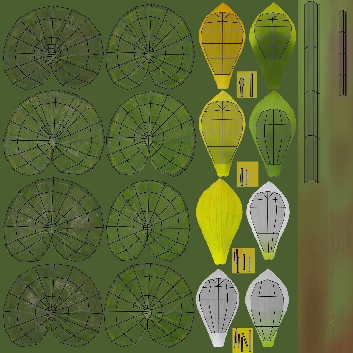 3D model Marsh Marigold VFX Grace VR / AR / low-poly | CGTrader