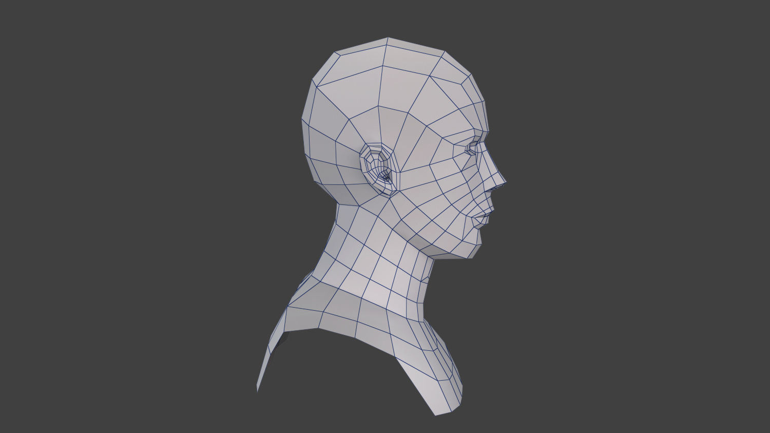 Head Base Mesh 3D model | CGTrader