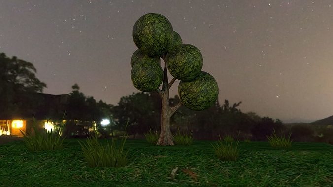 plant tree free VR / AR / low-poly 3D model | CGTrader