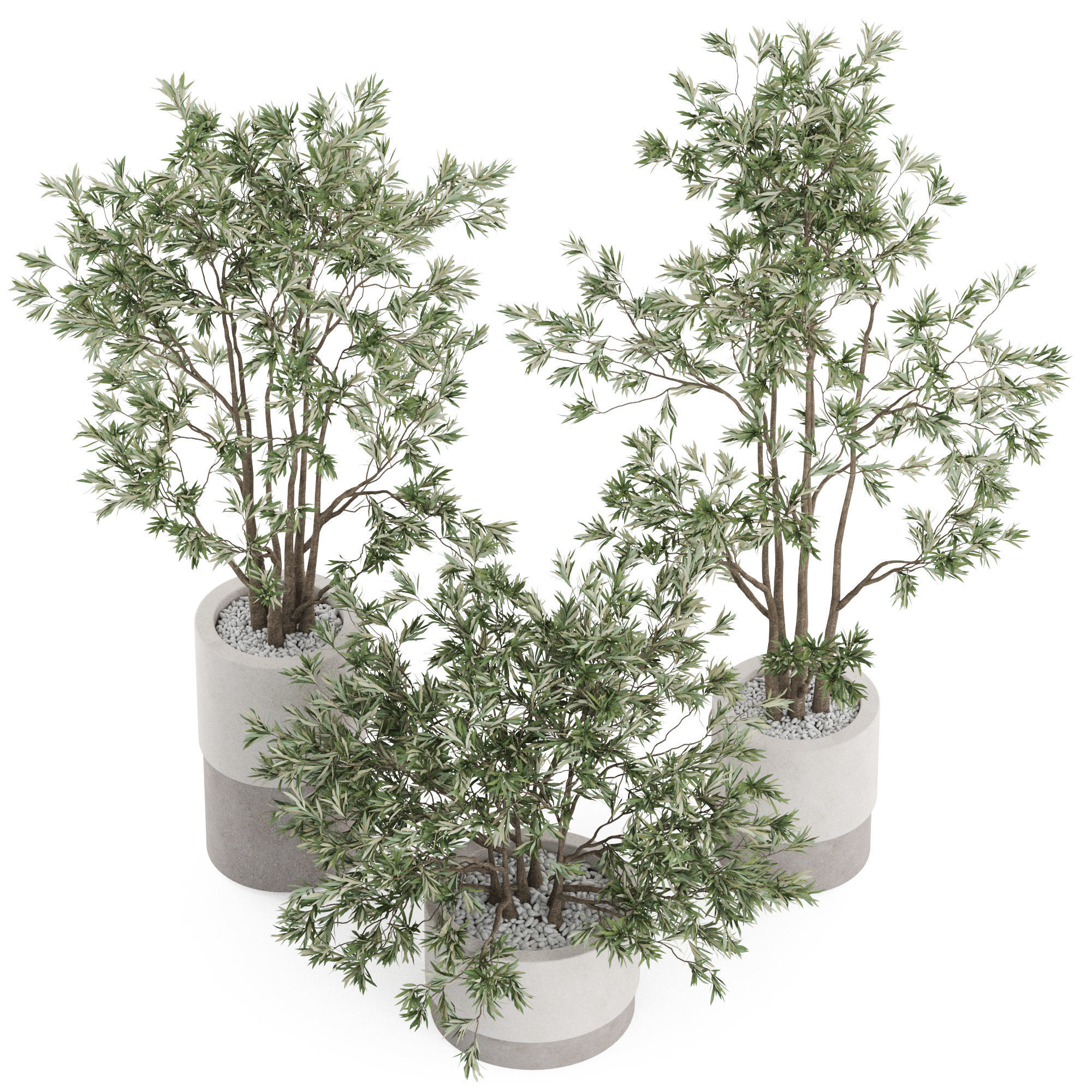 Plants collection 912 3D model | CGTrader