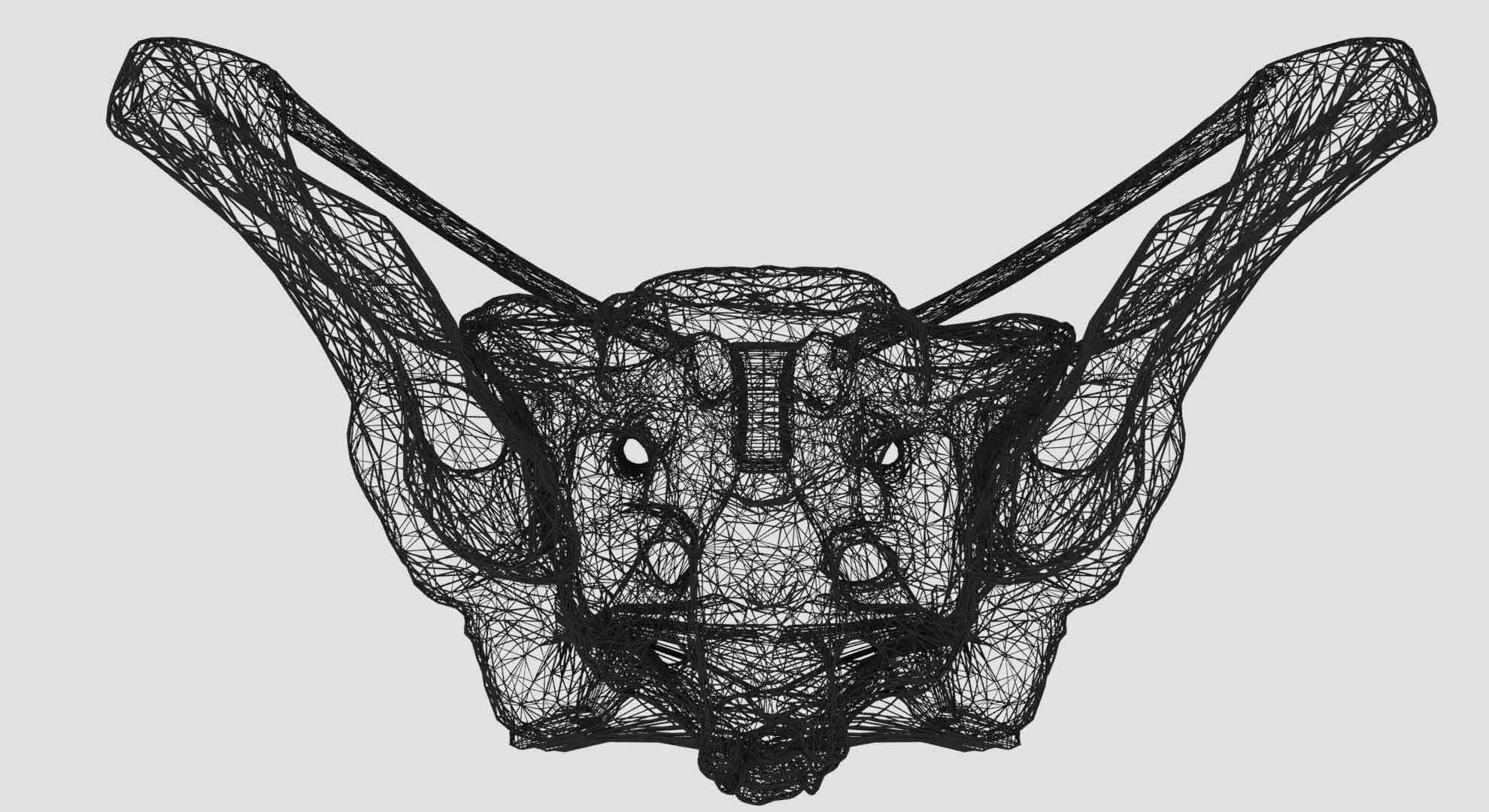 3D model Female pelvis clinical Pelvimetry dimension VR / AR / low-poly ...