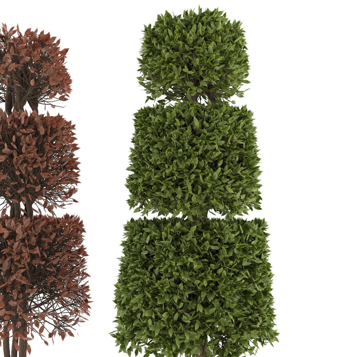 bush set 66 3D model | CGTrader