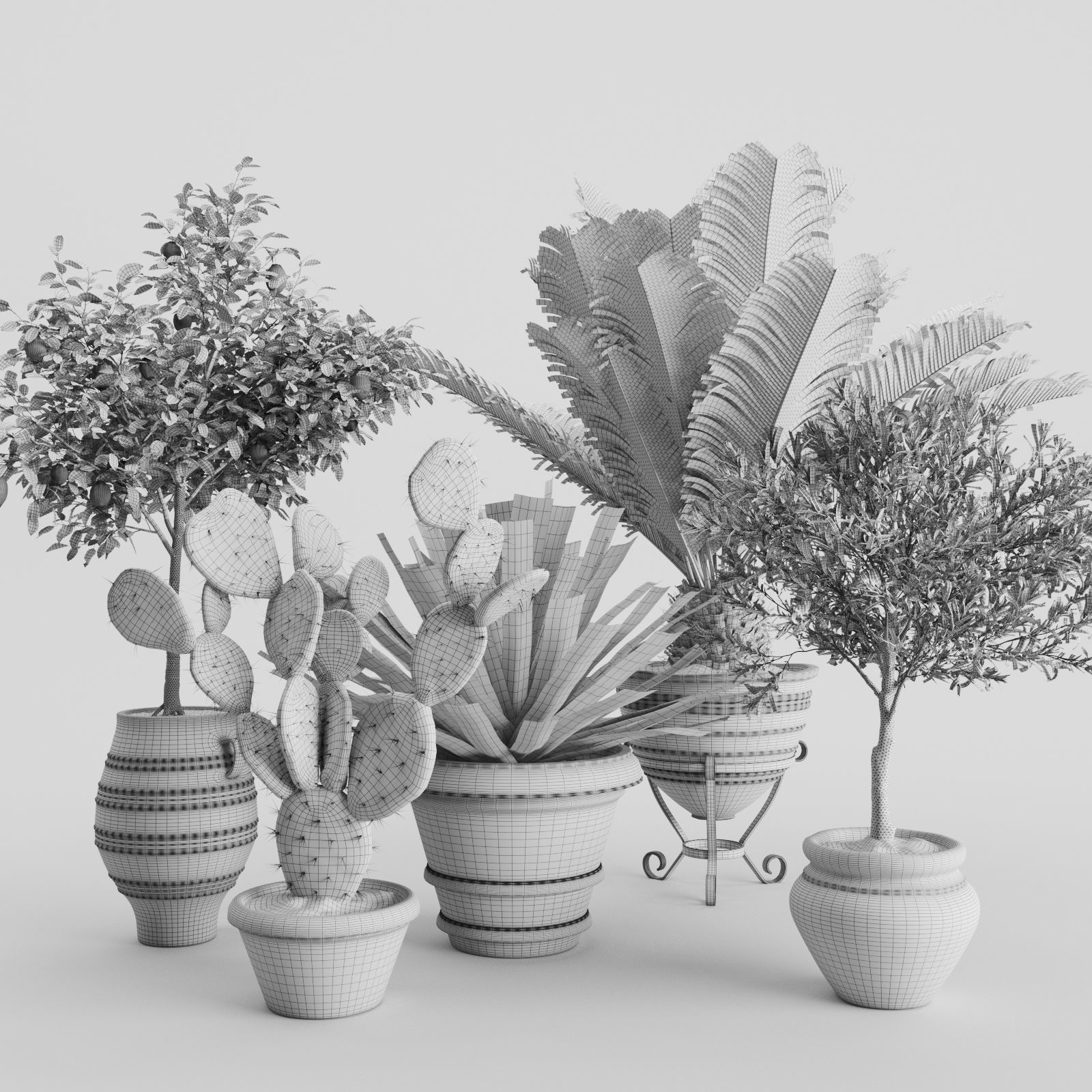 Set Mediterranean Plants In Antique Pots 3D model | CGTrader