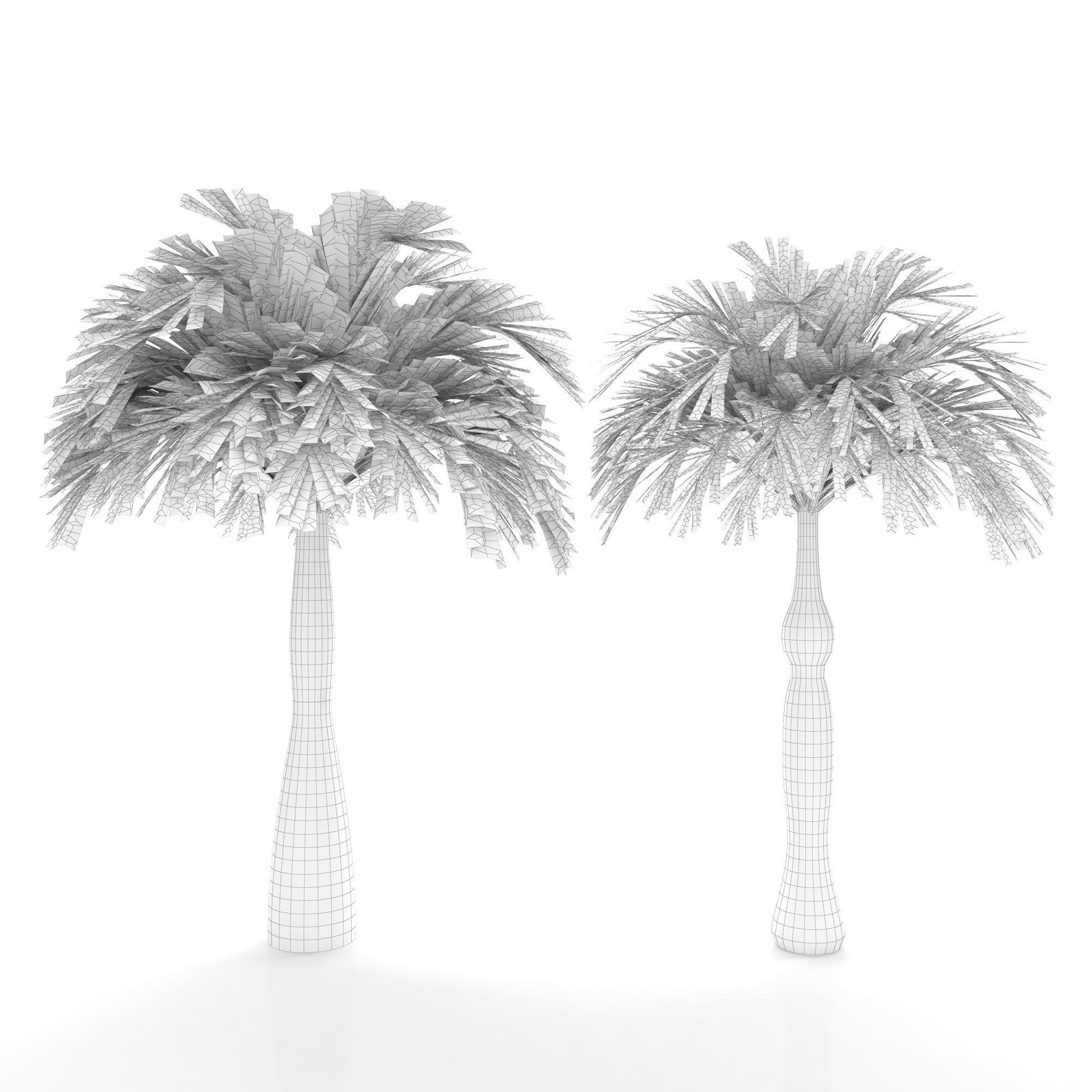 palm tree 72 3D model | CGTrader