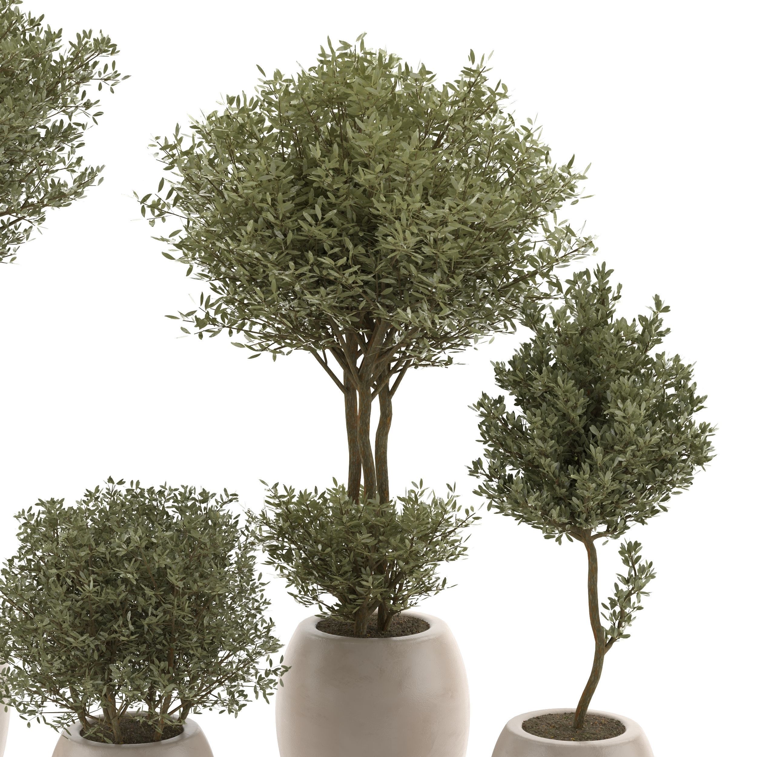 Indoor Plant set 102 3D model | CGTrader