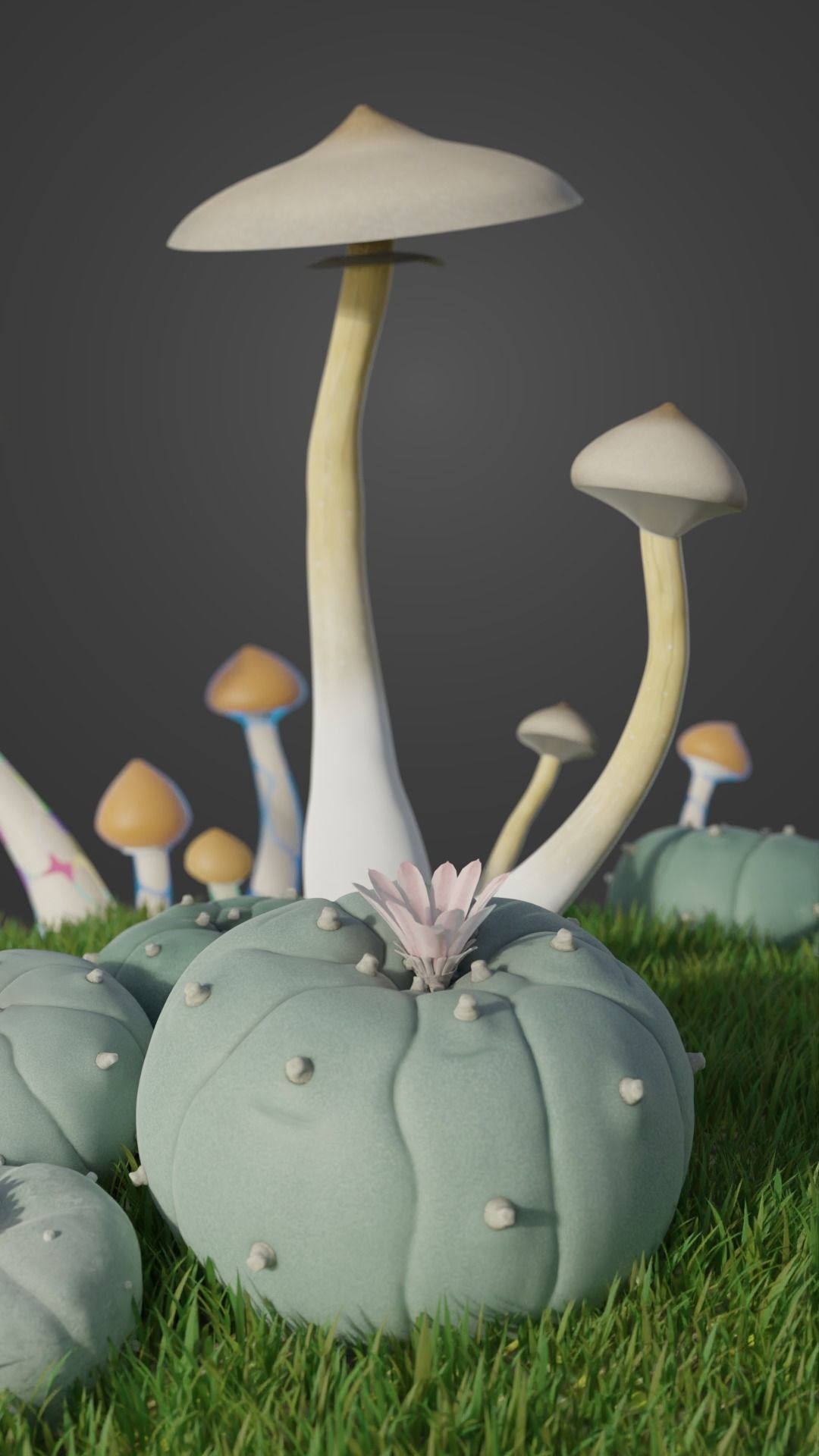 3D model Mushroom and Cactus VR / AR / low-poly | CGTrader